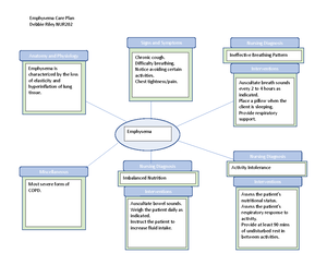 SBAR Care Plan example - SBAR/ Care Plan / Debrief Sara Lin VSIM - ATI ...