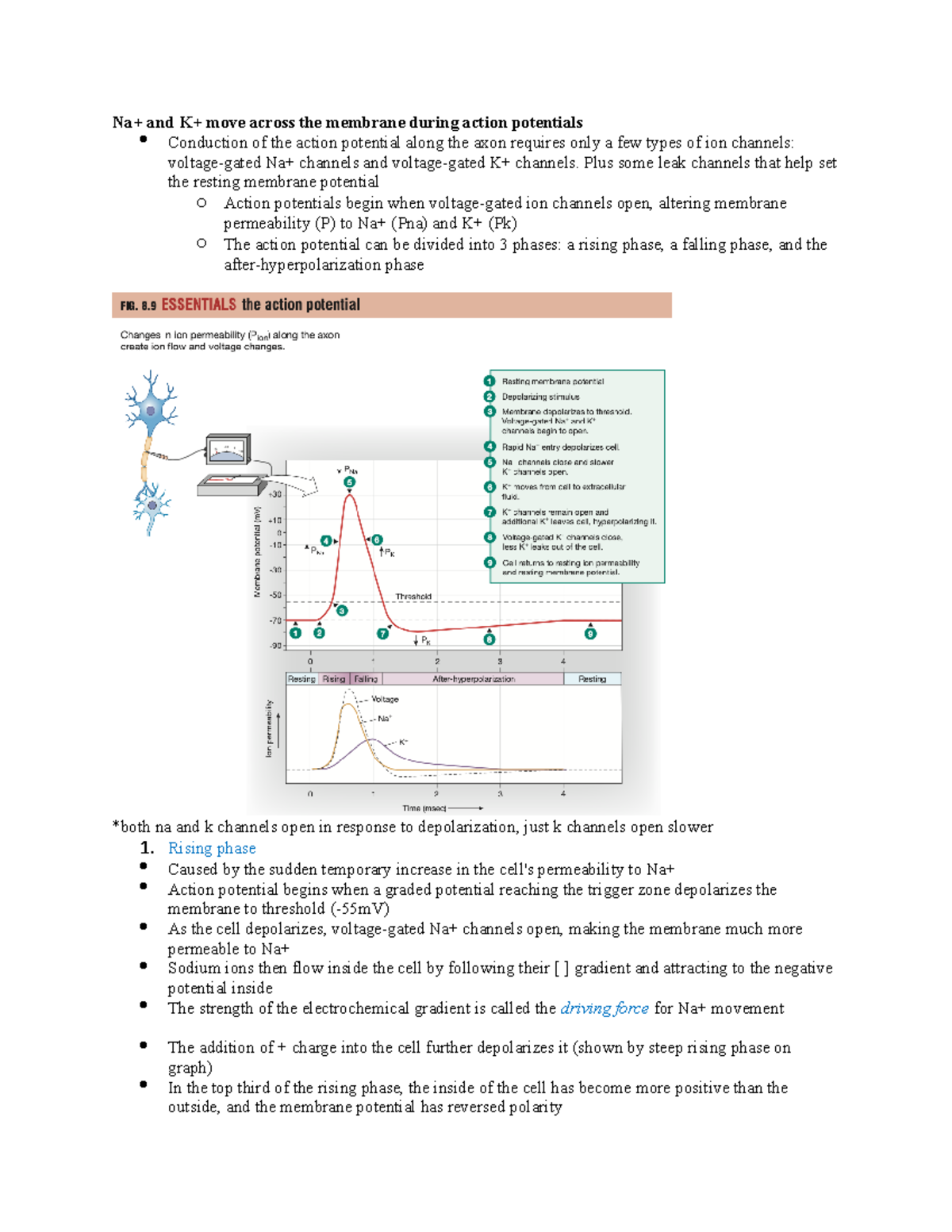 Bmsc 207 module 4 - Lecture notes 7 - Na+ and K+ move across the ...