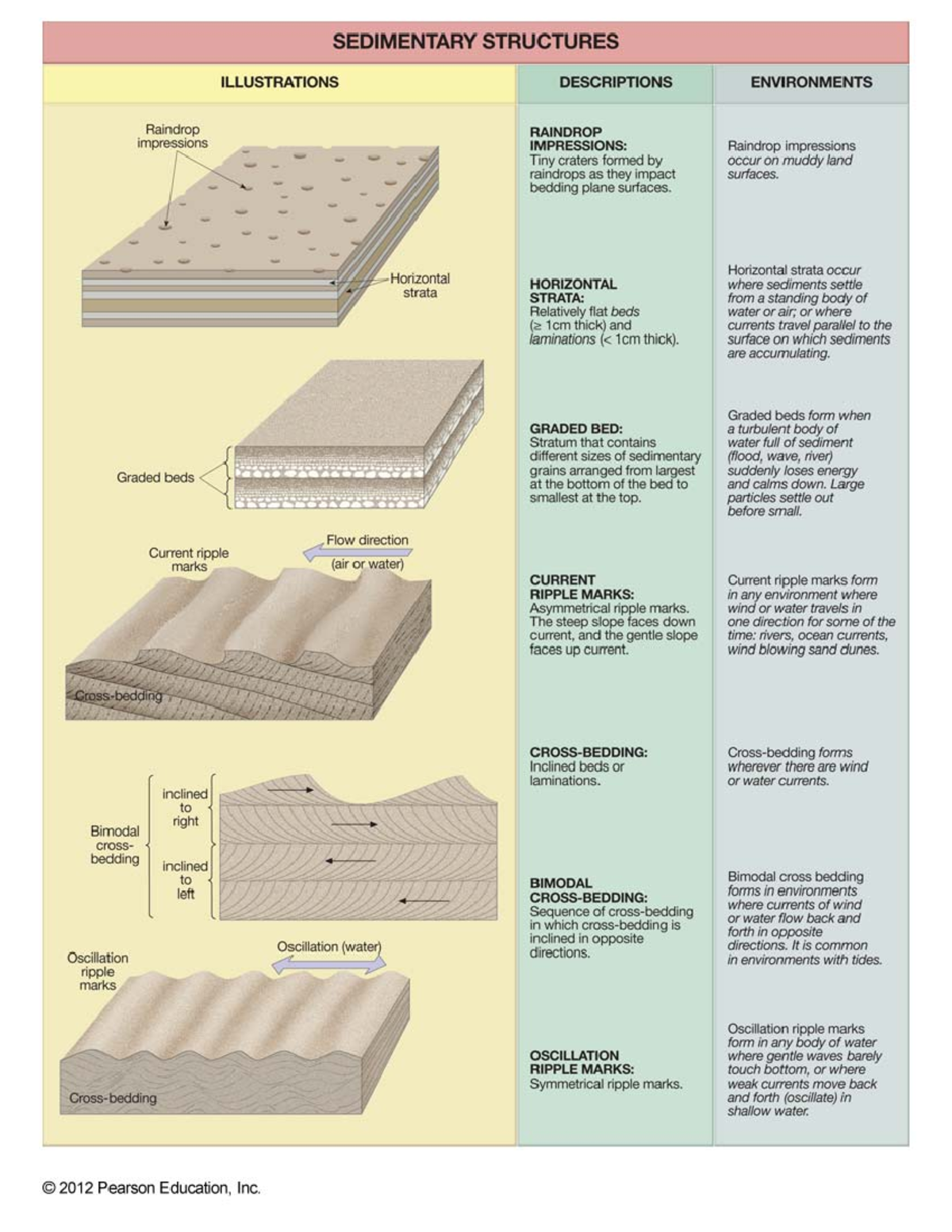 Sedimentary Structures - GEOL G135 - Studocu