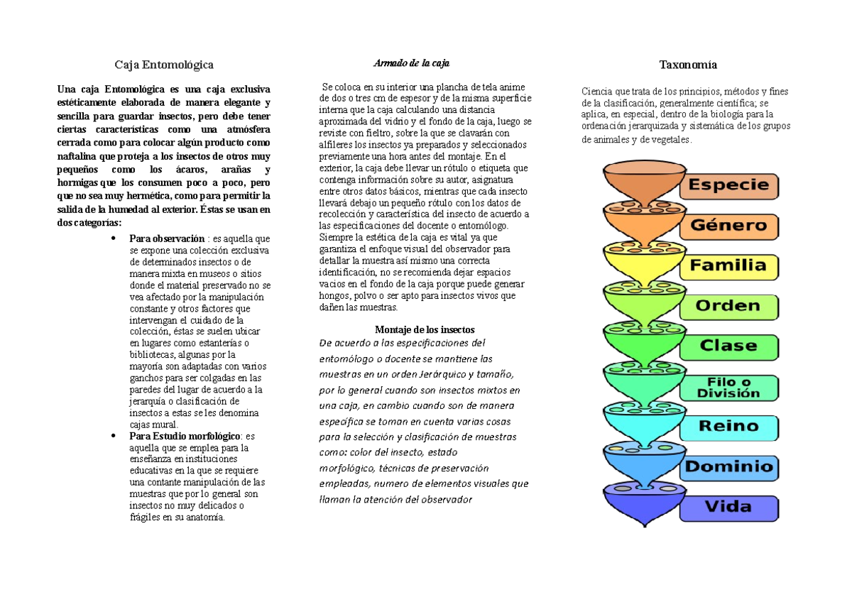 Triptico - Caja Entomológica Una caja Entomológica es una caja ...