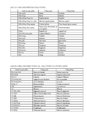 Collocation - Subtopics - Cities-3 - Aging population Problems ...