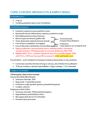 Cervical Spine MSK Red Flags - Studocu