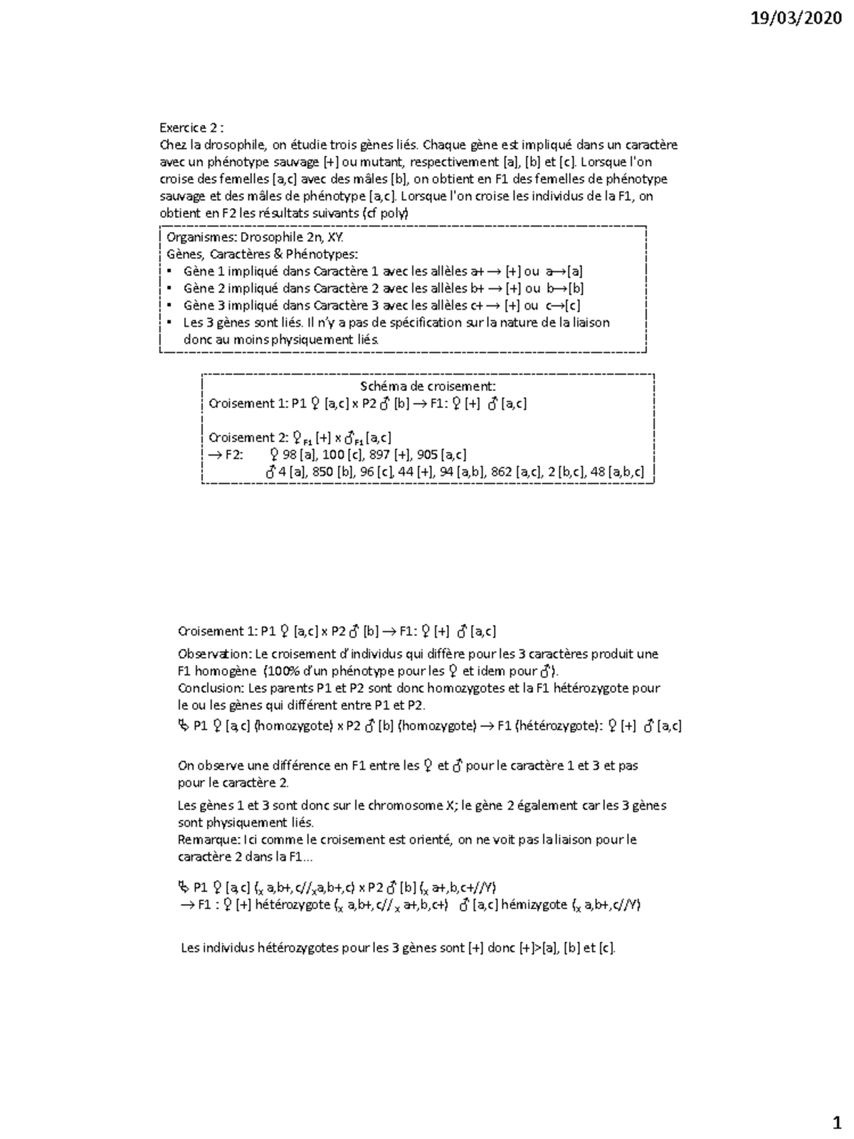 exo2_TD diplo_droso - Exercice 2 : Chez la drosophile, on étudie trois ...