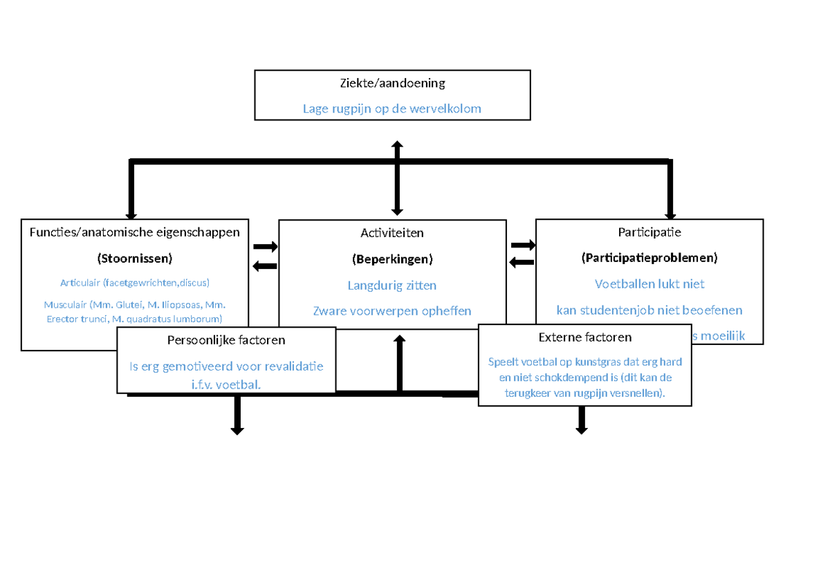 Icf bij anamnesetaak wervelzuil - Functies/anatomische eigenschappen ...