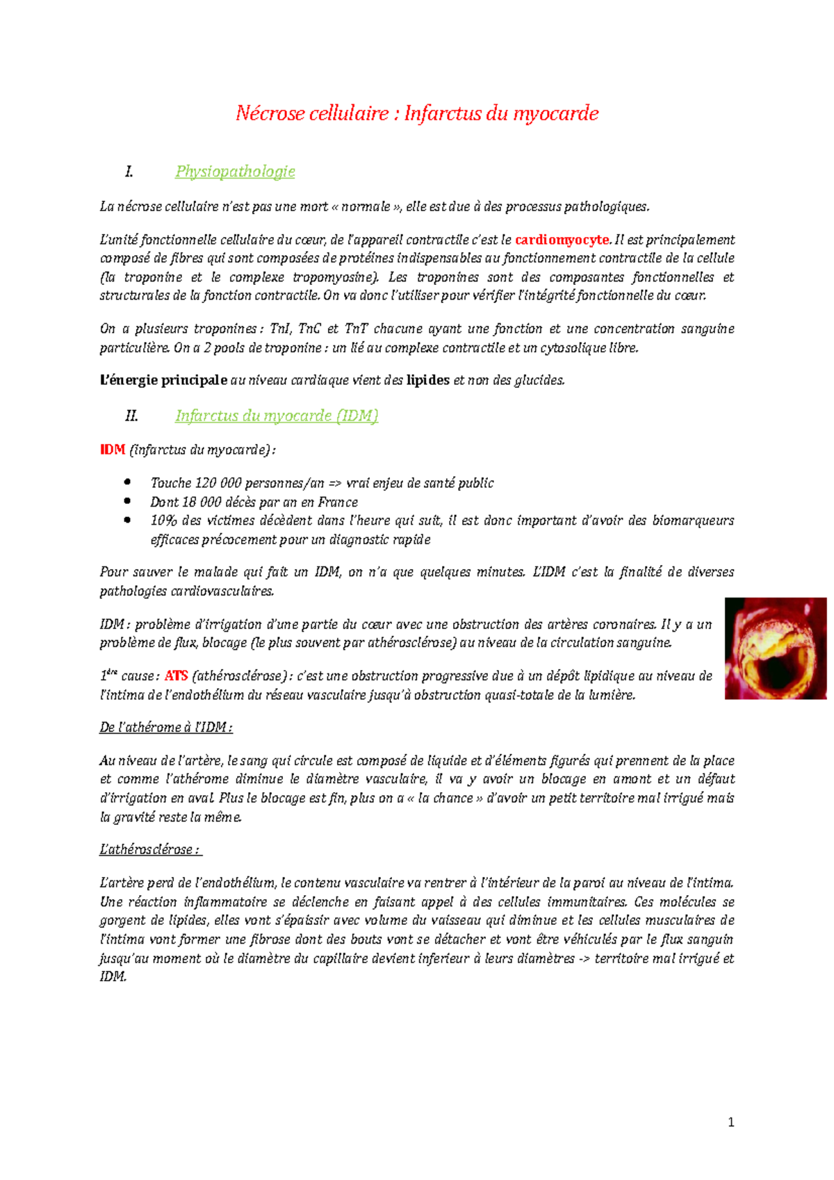 C1 - Nécrose cellulaire & infarctus du myocarde - Nécrose cellulaire ...