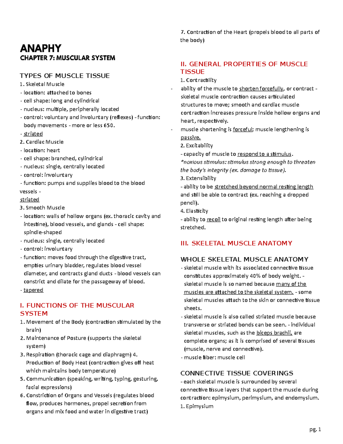Chapter 7 Muscular System Ana Phy - TYPES OF MUSCLE TISSUE Skeletal Muscle location: attached to ...