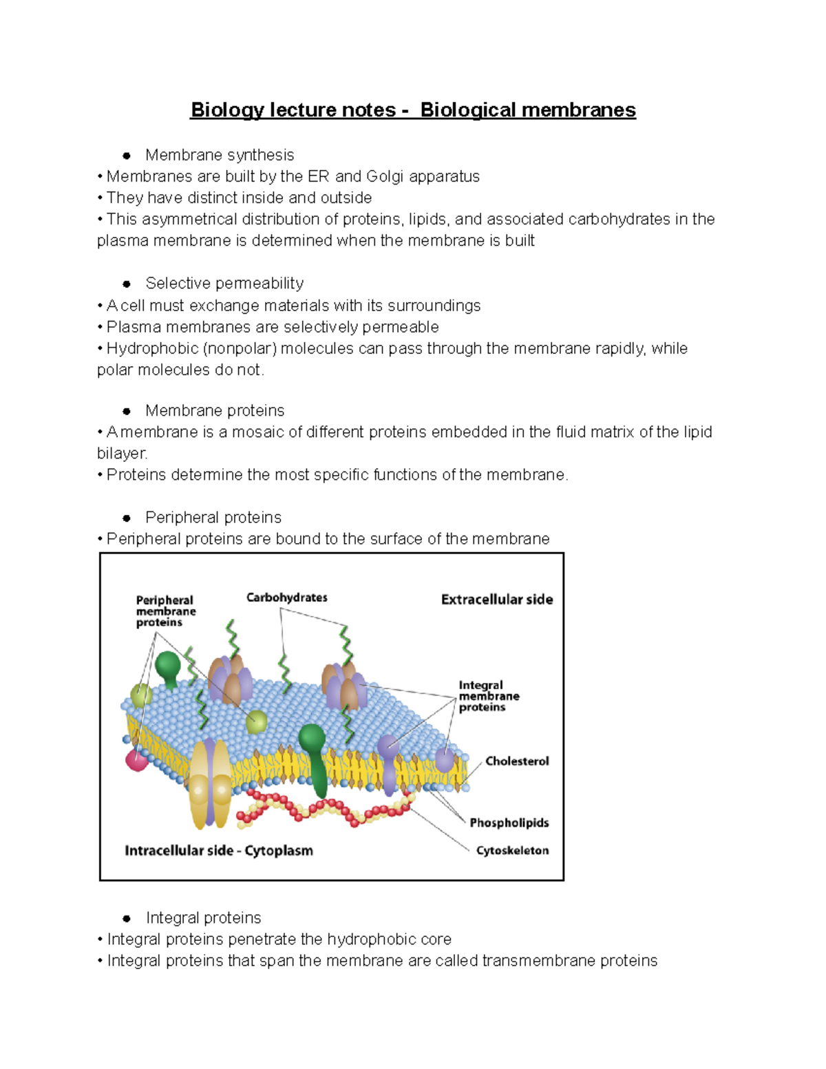 Biology lecture notes - Biological membranes - Membrane proteins A ...