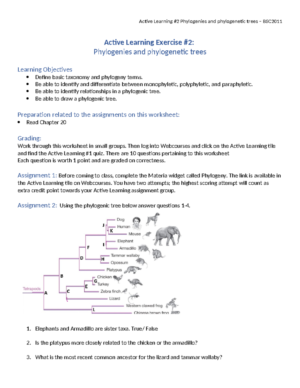 Active Learning #2 Phylogenies and Phylogenetic Trees - Active Learning ...