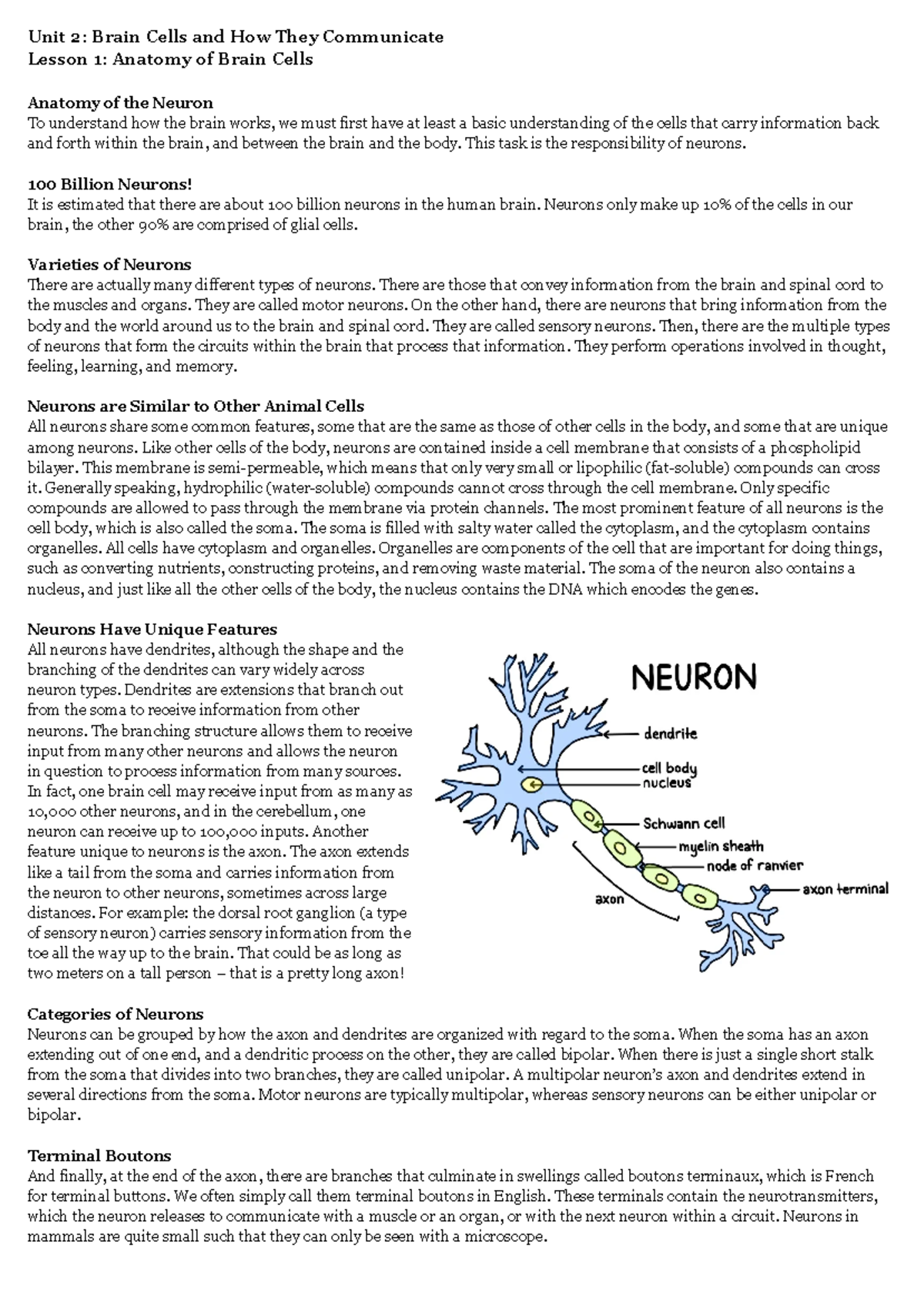 Unit 2: Brains Cells and How They Communicate - Unit 2: Brain Cells and ...