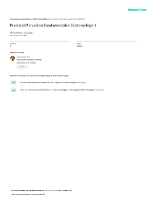 Behavior Specific Praise Positive Descriptive Feedback - Behavior ...