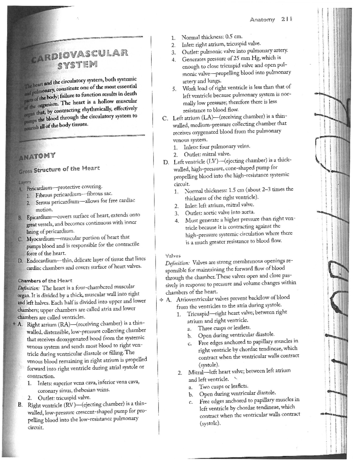 Cardiovascular study guide - Anatomy 211 1. Normal thickness: 0 cm. 2 ...