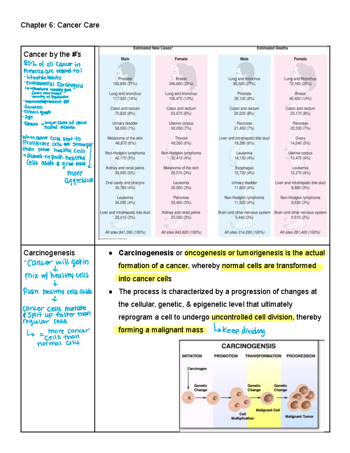 Week 1 med surg 2 - Notes - Chapter 6 : Cancer Care Cancer by the #’s ...