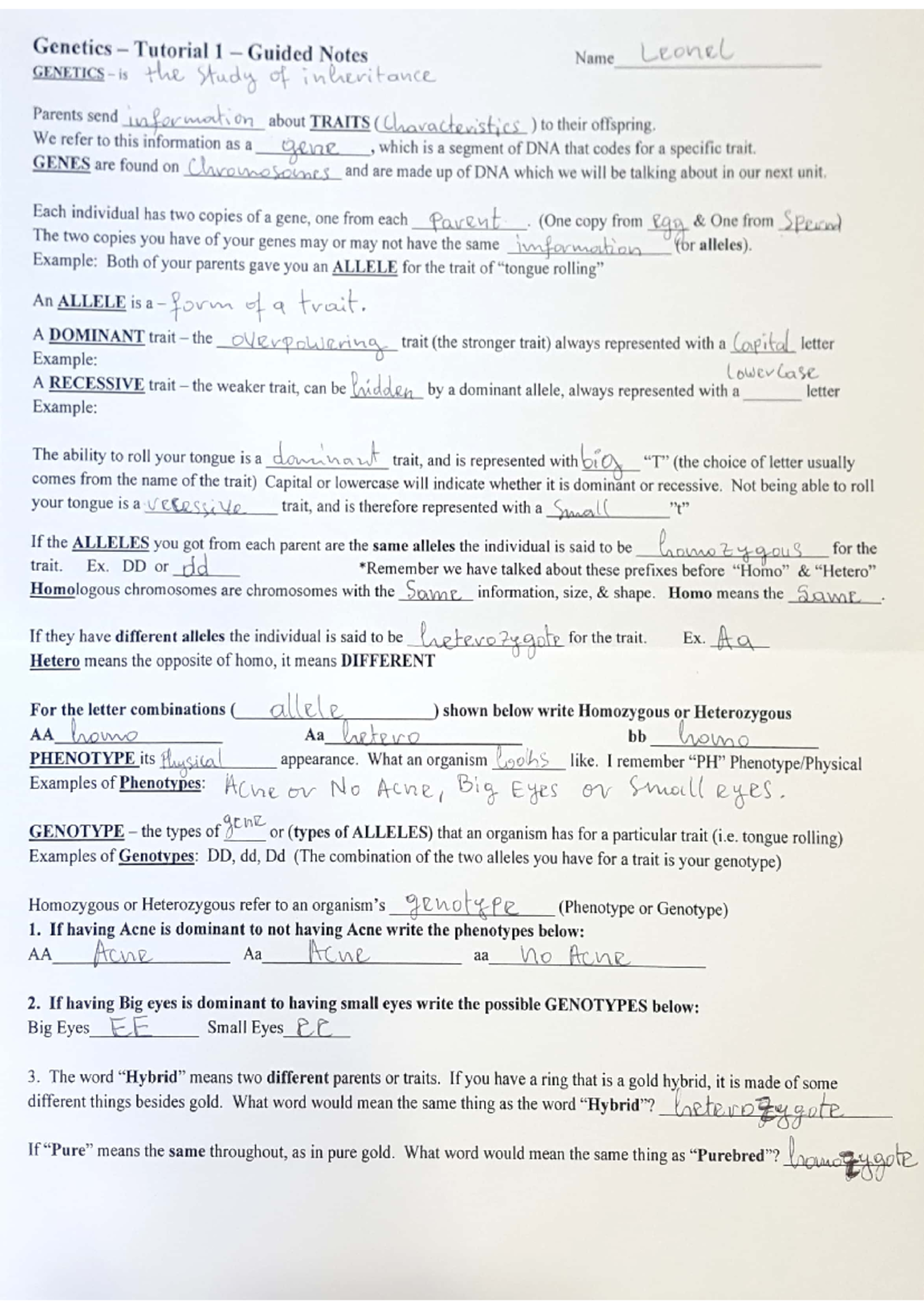 BIO 280 - Genetics Guided Notes - BIO 280 - Studocu