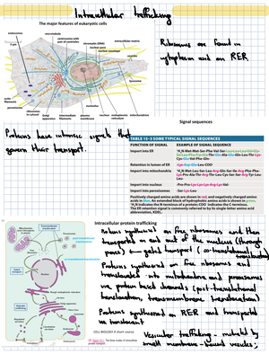 Cell Biology Notes and Tutorial Questions - Cells and Organelles Cells ...