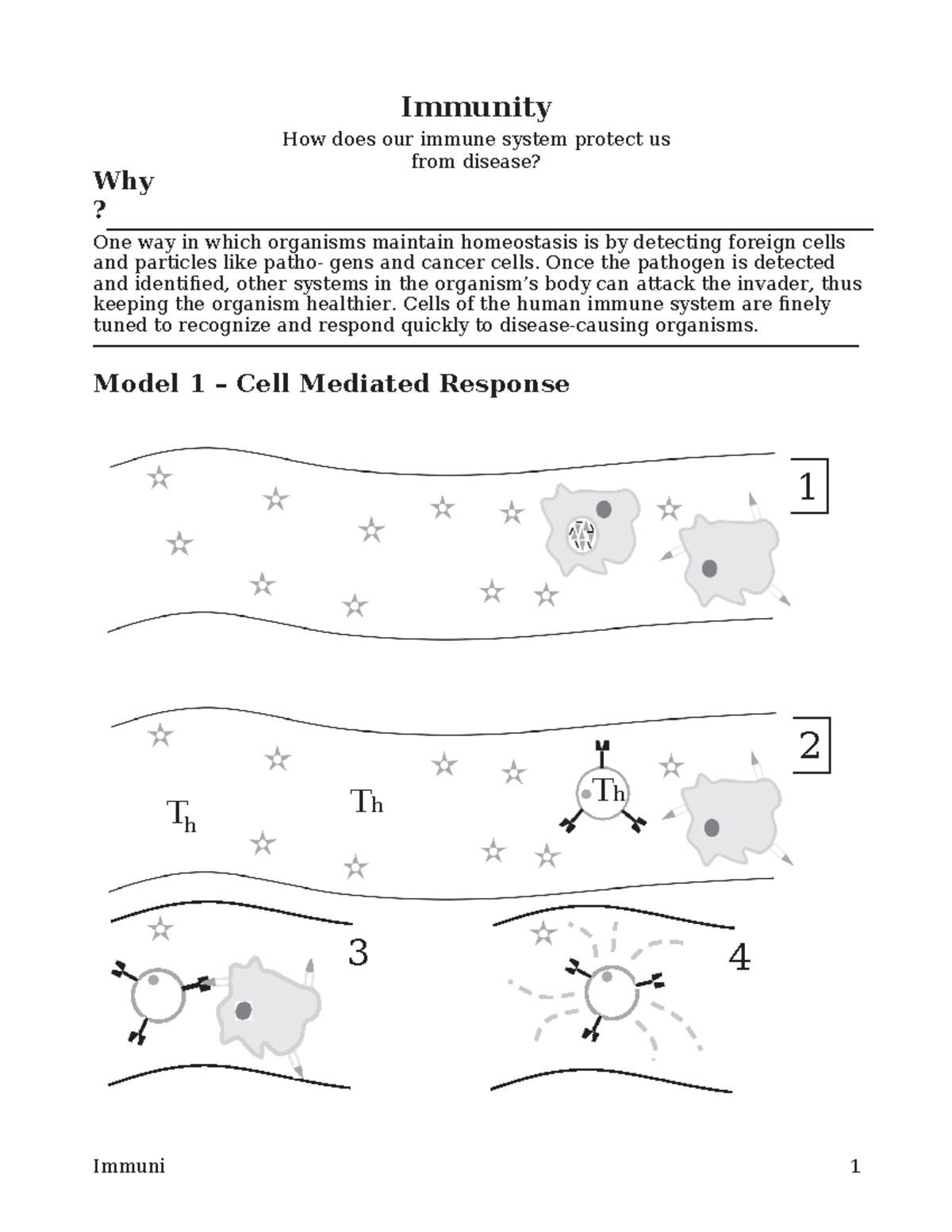 The Immune System - Immuni ty 1 3 1 2 T Th h Th Why ? Immunity How does ...
