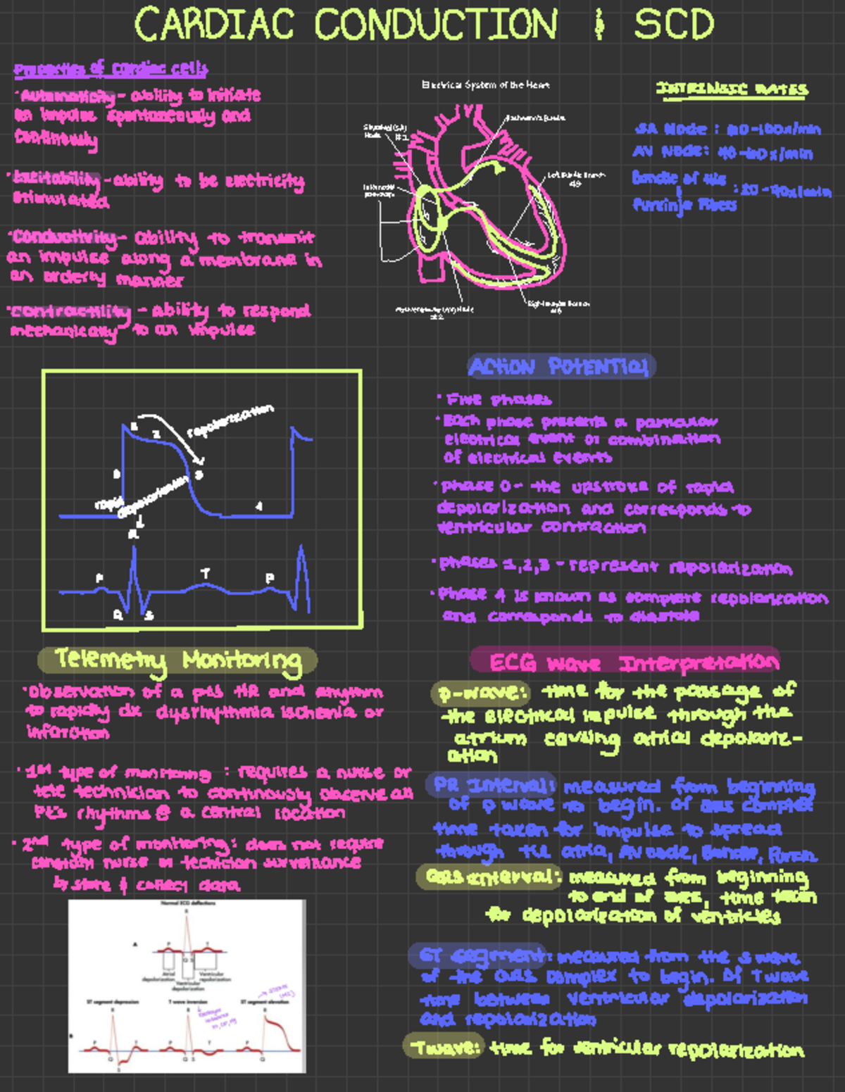 Cardiac Conduction & SCD - CARDIAC CONDUCTION : SCD Priesof diac cells ...