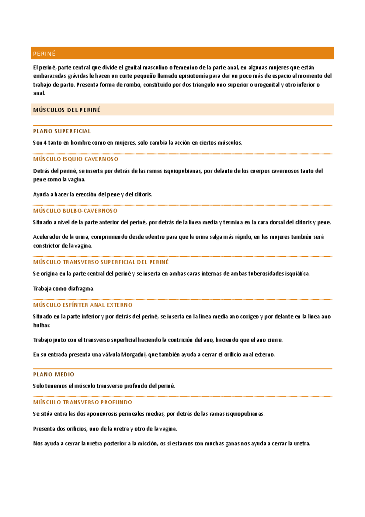 Periné - PERINÉ El periné, parte central que divide el genital ...