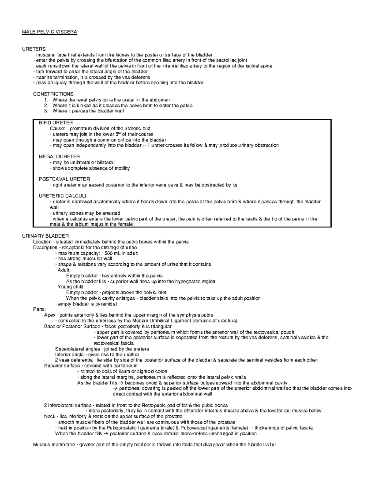 Male pelvic viscera - med - MALE PELVIC VISCERA URETERS muscular tube ...