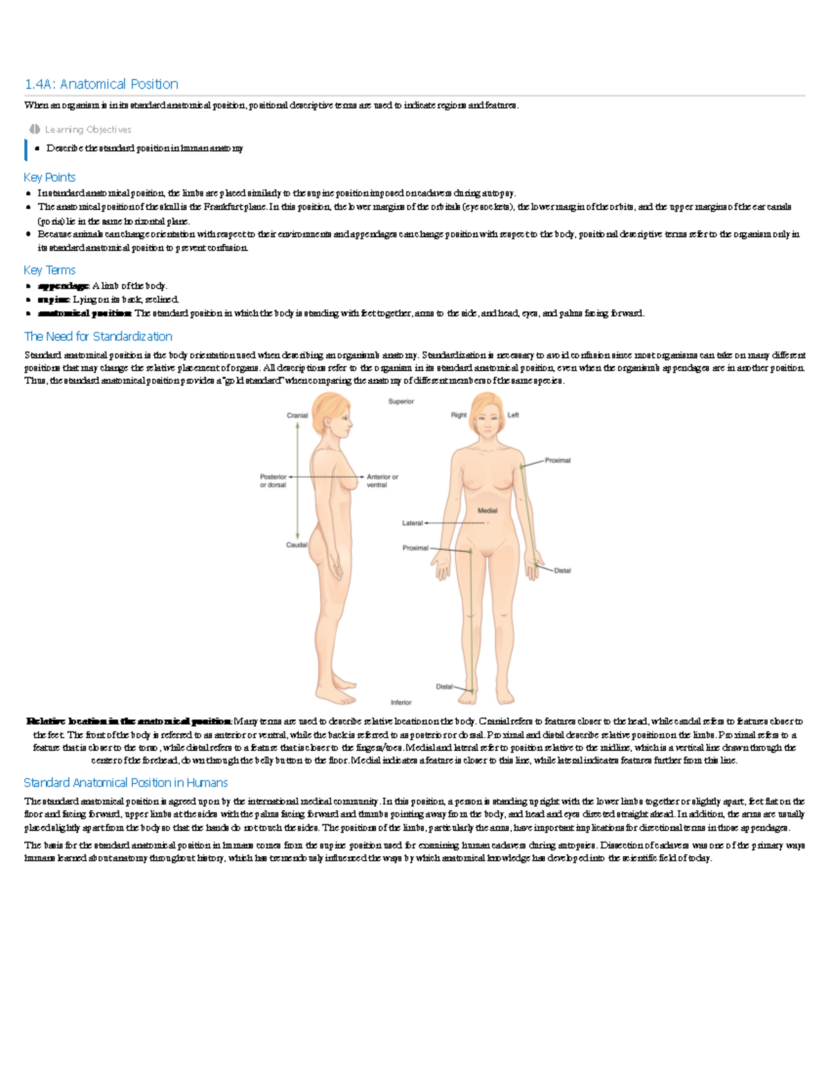 Anatomical Position - 1: Anatomical Position When an organism is in its ...