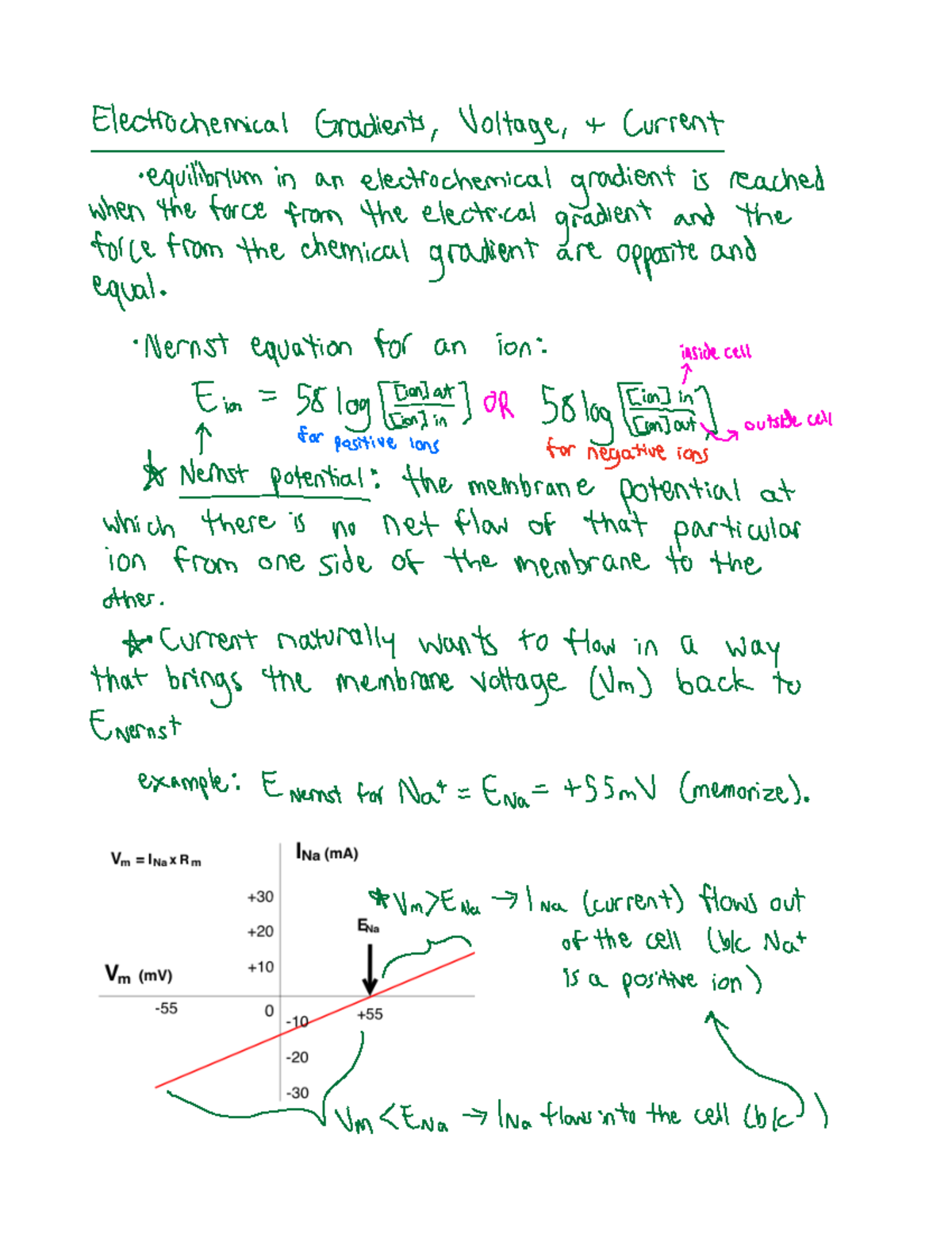 Electrochemical Gradients at Fernando Smith blog