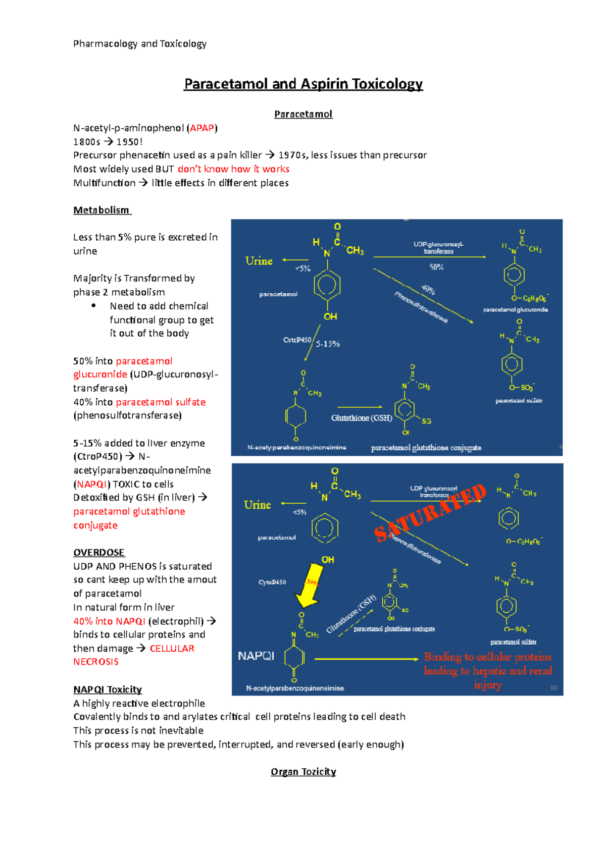 Paracetamol and Aspirin Toxicology - notes - Paracetamol and Aspirin ...