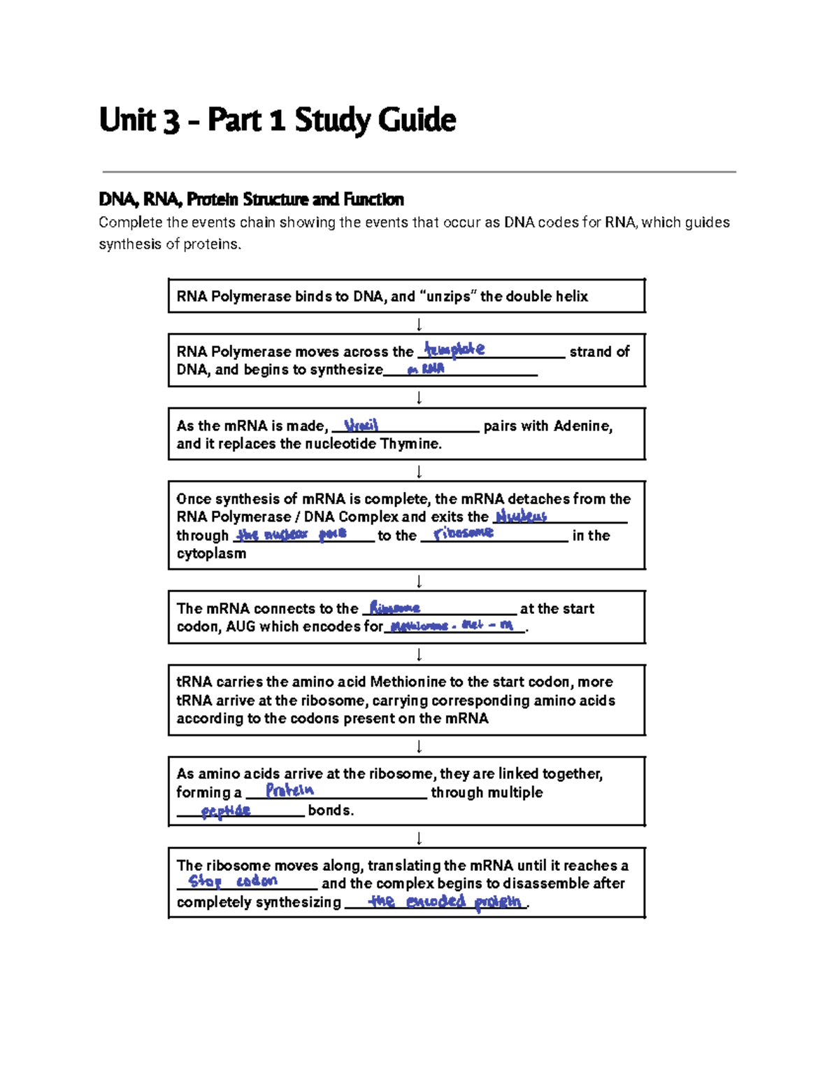 [Template] Unit 3 - Part 1 - Study Guide - Unit 3 - Part 1 Study Guide ...