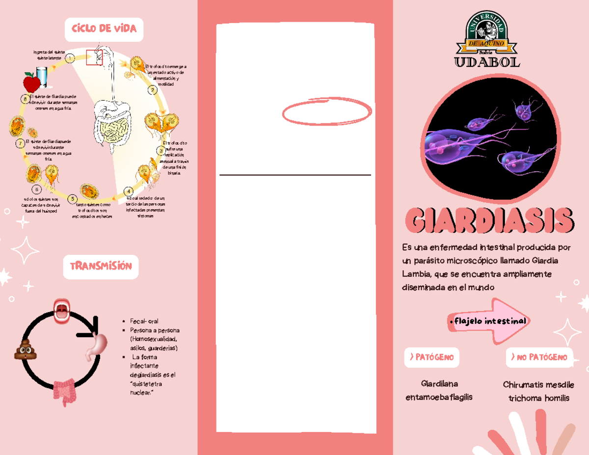 Folleto Giardiasis - gardiasis - Bolivia UDABOL Giardiasis Giardiasis ...