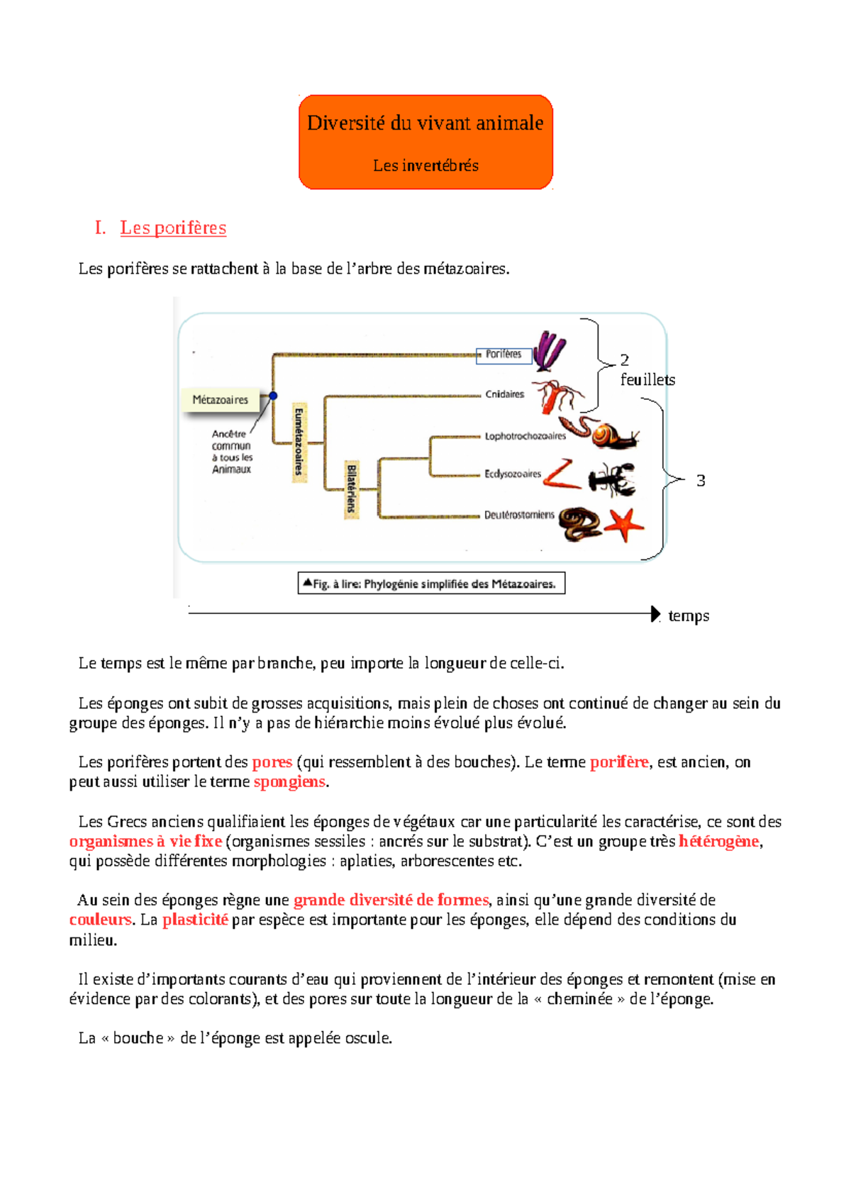 Les invertébrés - Notes de cours 1 - Diversité du vivant animale Les ...