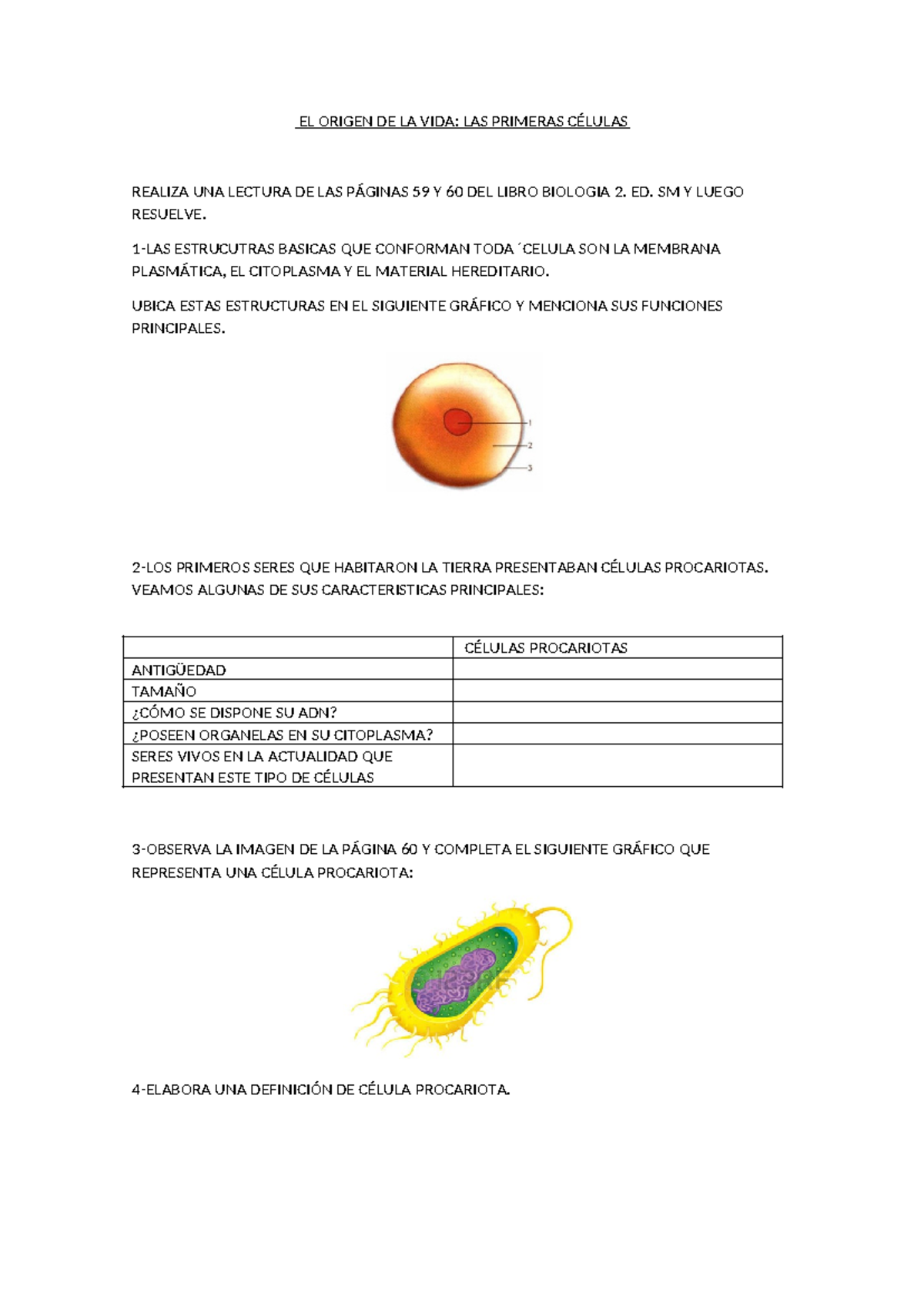 las células procariotas - EL ORIGEN DE LA VIDA: LAS PRIMERAS CÉLULAS ...