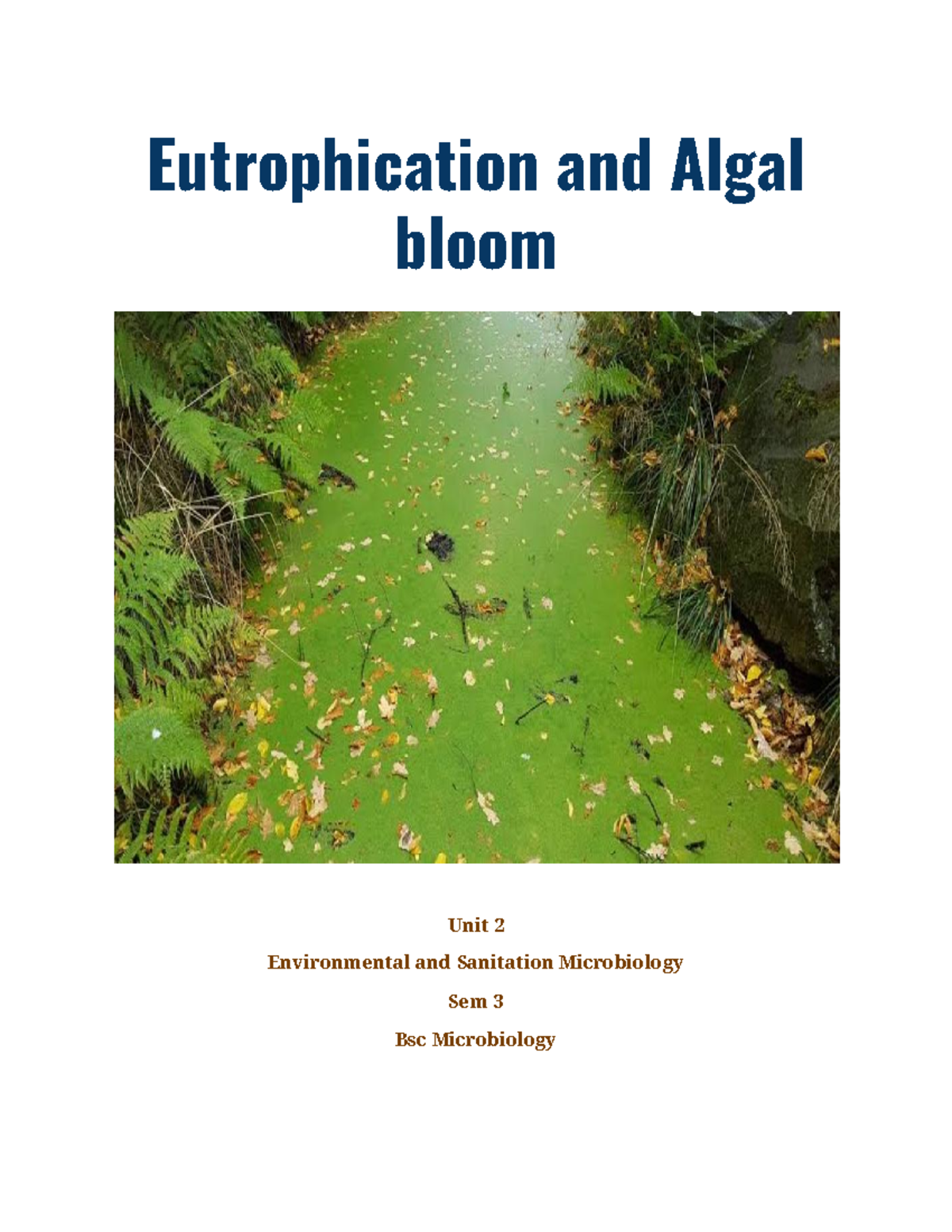 Eutrophication And Algal bloom unit 2 - Eutrophication and Algal bloom ...