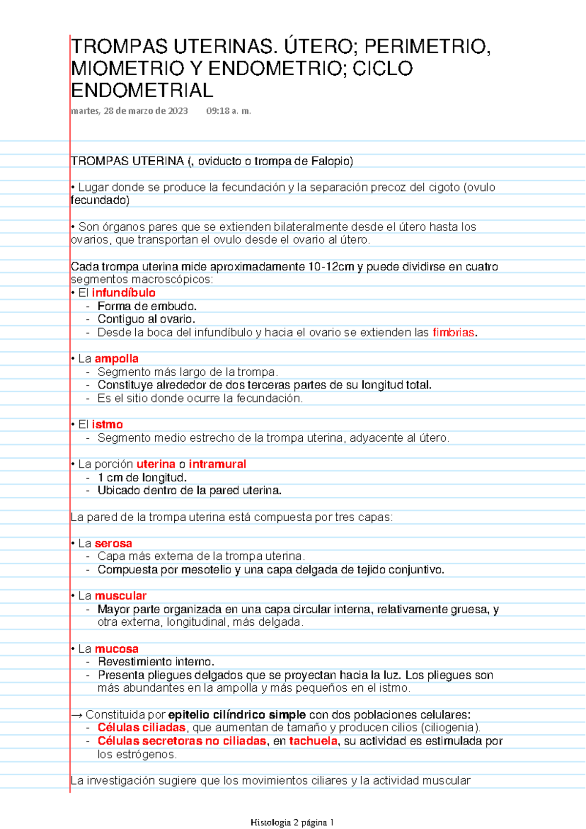 Trompas Uterinas. Útero Perimetrio, Miometrio Y Endometrio Ciclo ...