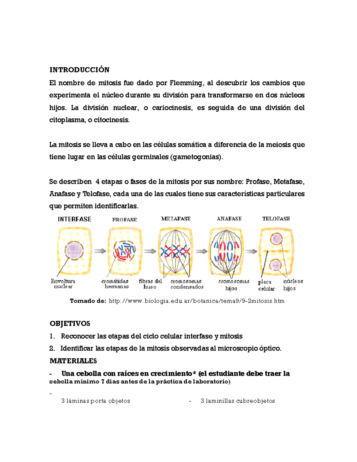 Mitosis y Meiosisfjhfjhf jhfjhfjhf jhfjhfjh hjfhjf - INTRODUCCIÓN El ...