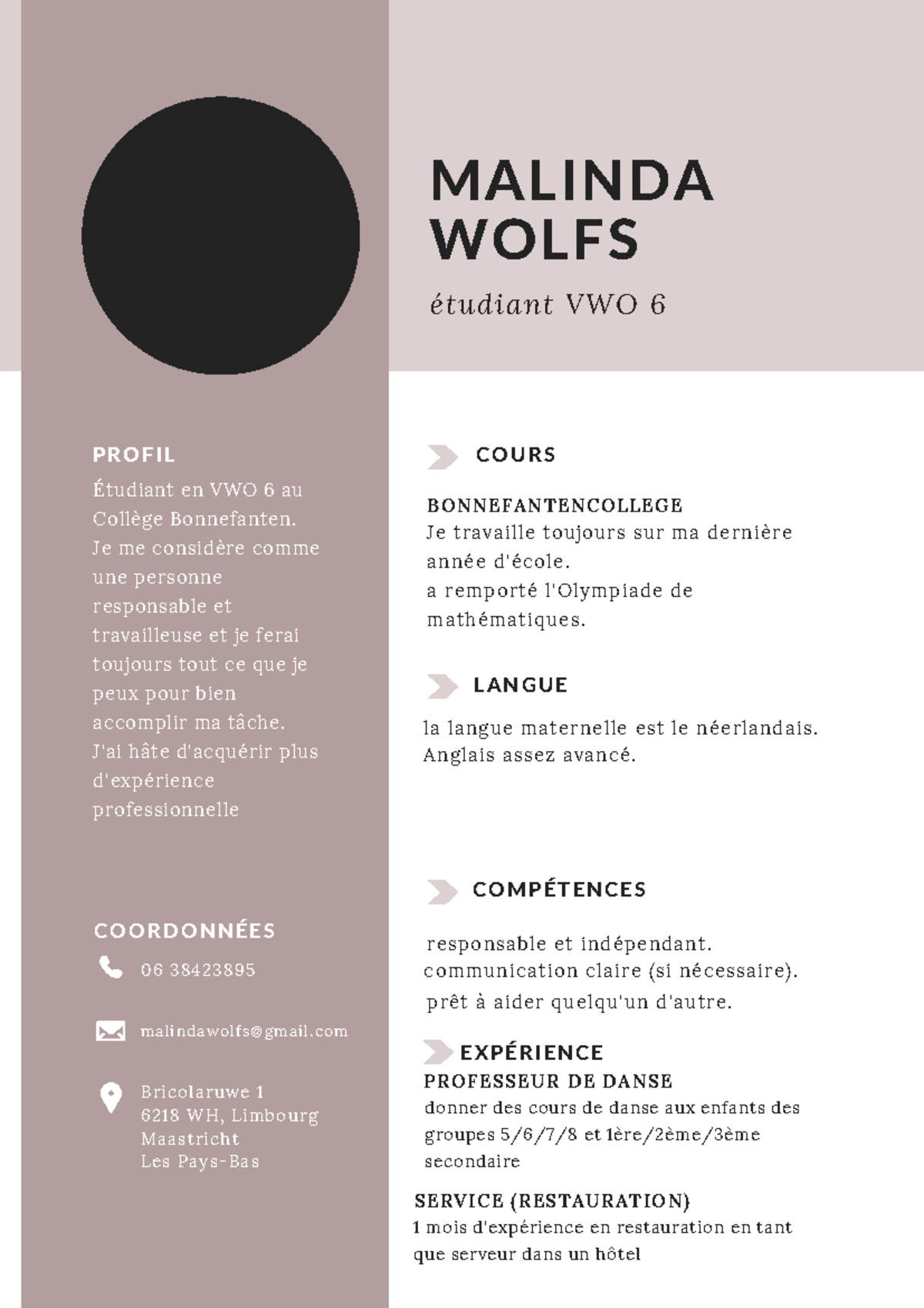Student cv frans (voorbeeld) - P R O F I L Étudiant en VWO 6 au Collège ...