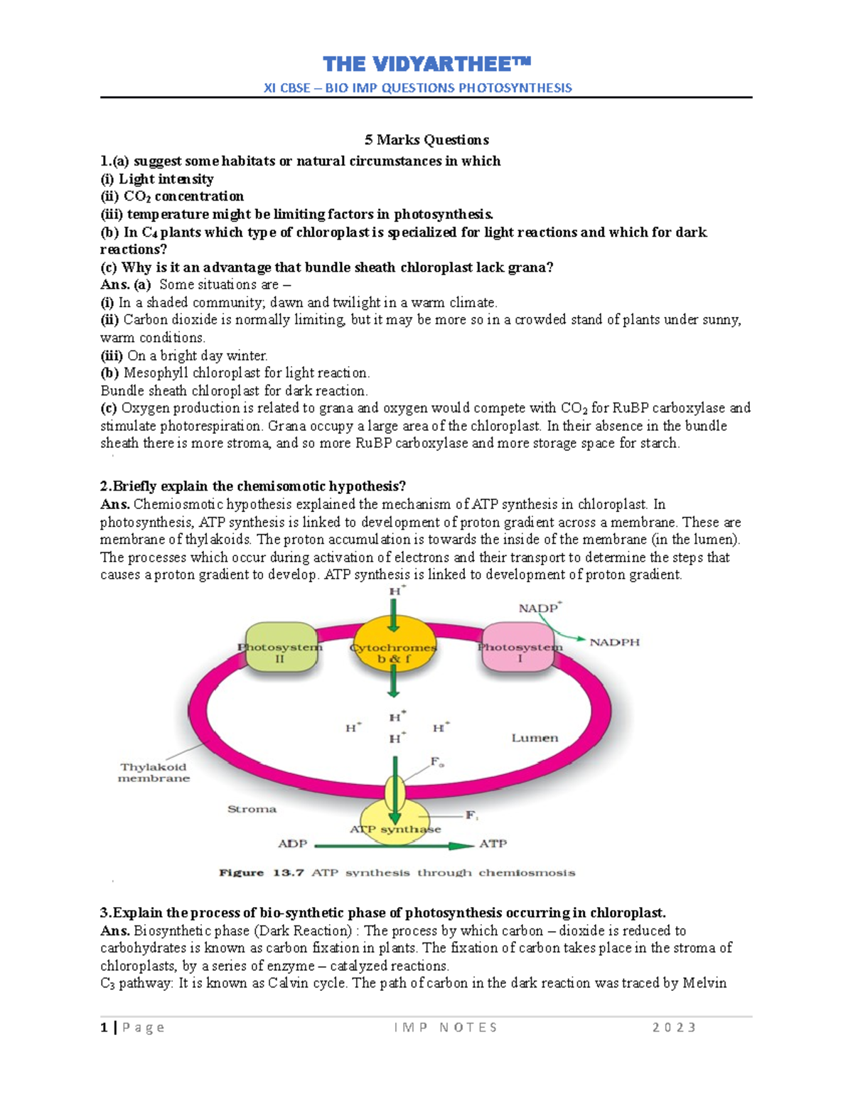 Photosynthesis IMP Questions - XI CBSE – BIO IMP QUESTIONS ...