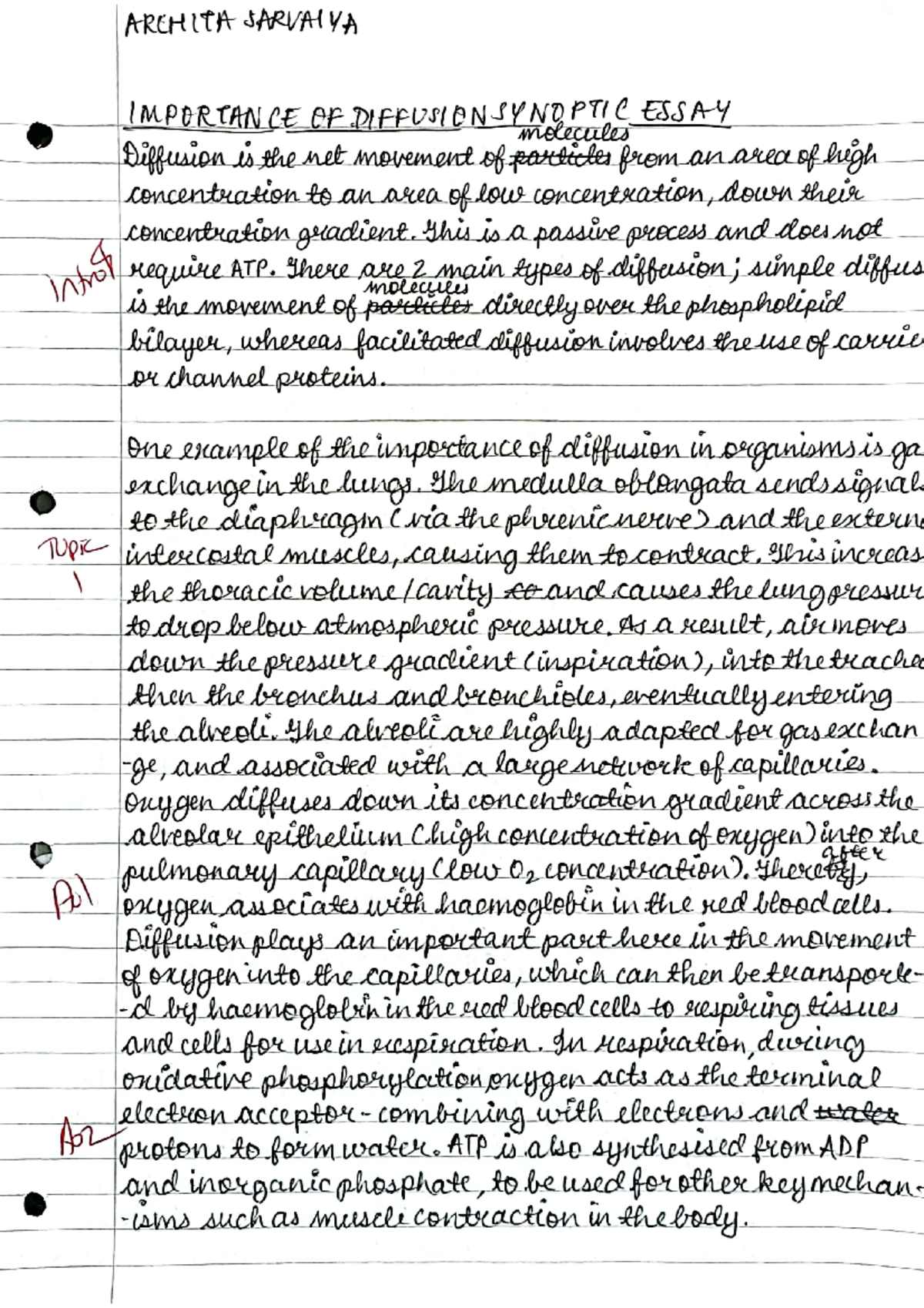 Diffusion synoptic essay marked - Studocu