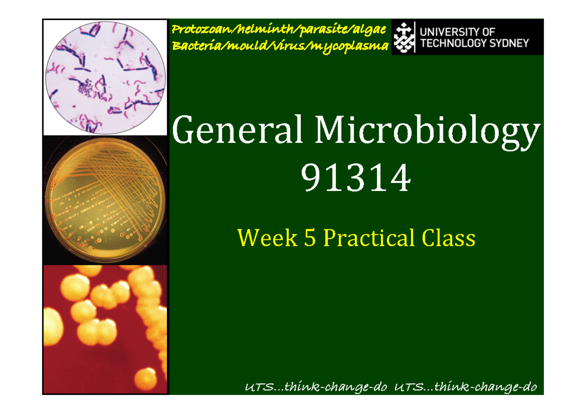 Gen Micro Prac Week 5 (High Res) - General Microbiology 91314 Protozoan ...