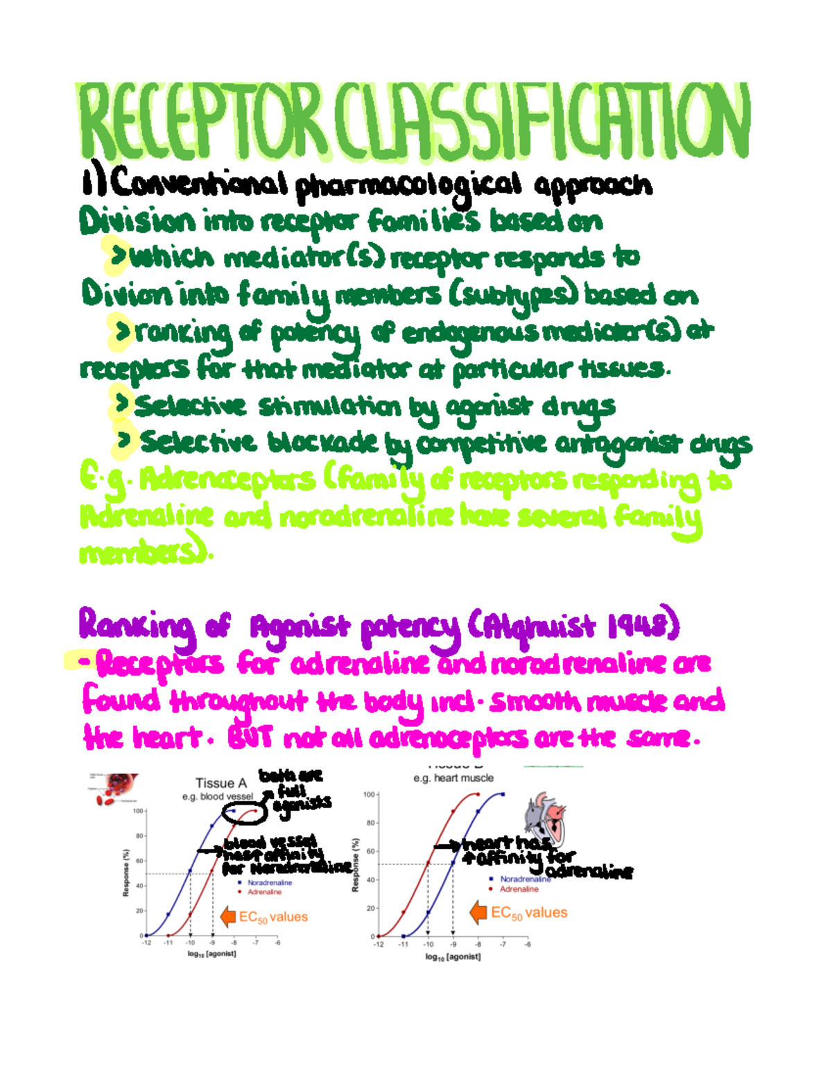Receptor classification (5) - RECEPTOR CLASSIFICATION 1 Conventional ...