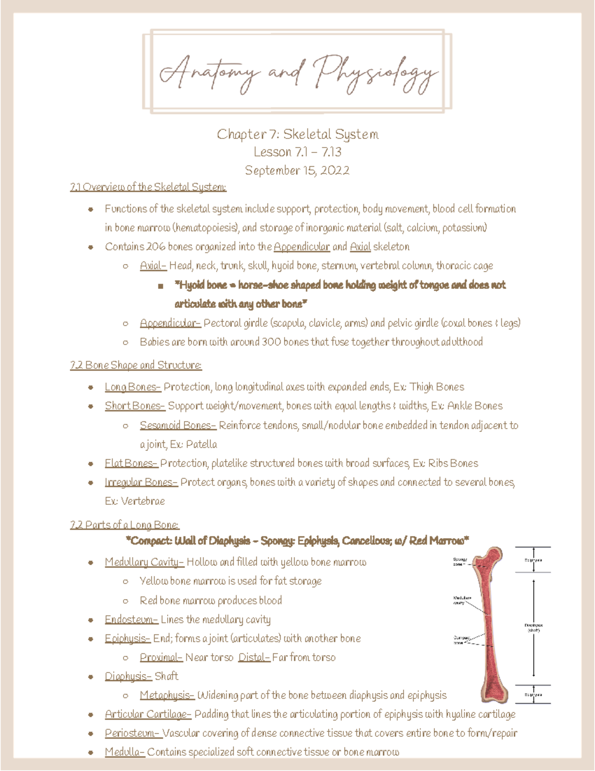 Ch 7 page 1 - Page 1 - Chapter 7: Skeletal System Lesson 7 - 7 ...