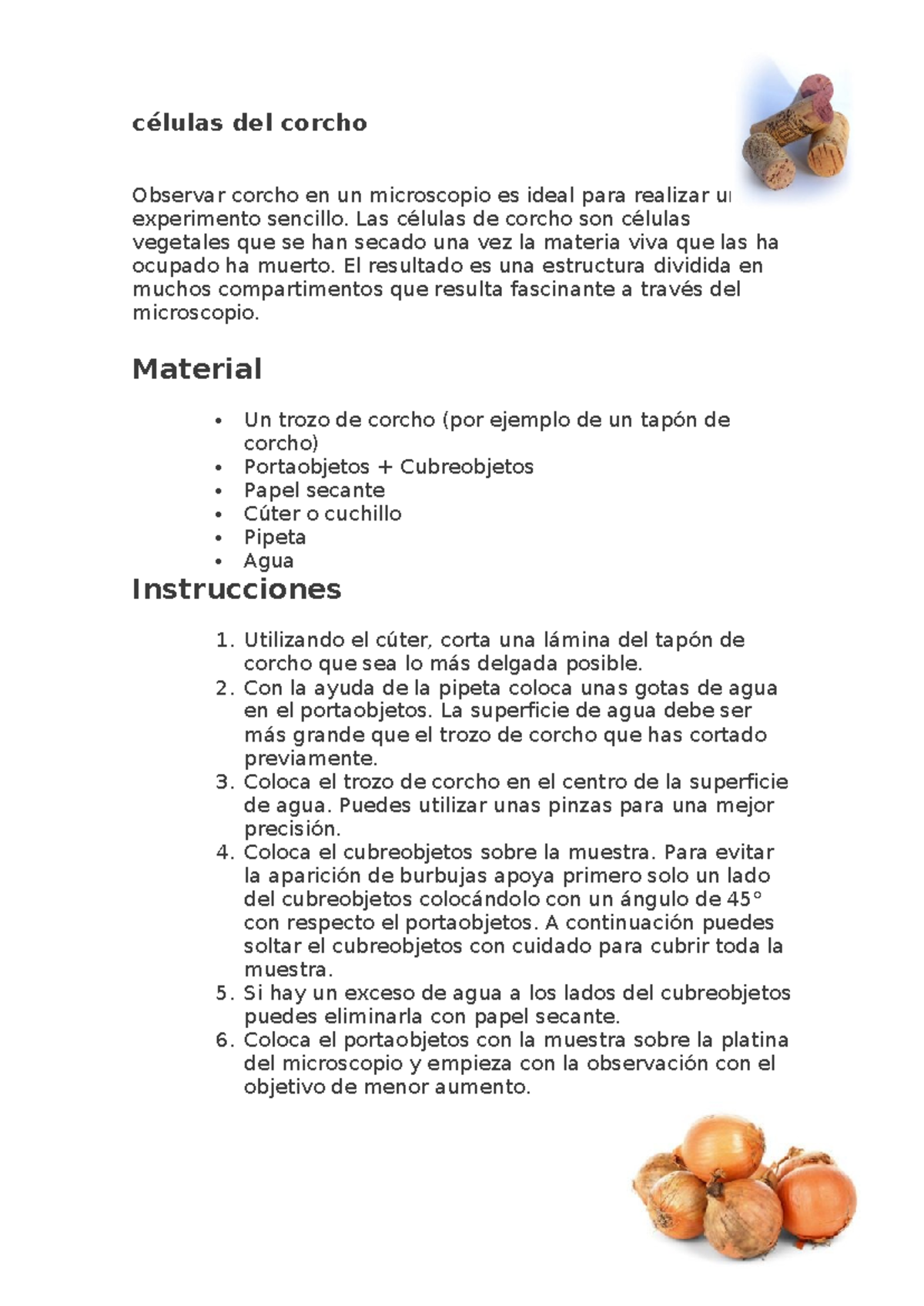 Actividades con el microscopio clase 3 - células del corcho Observar ...