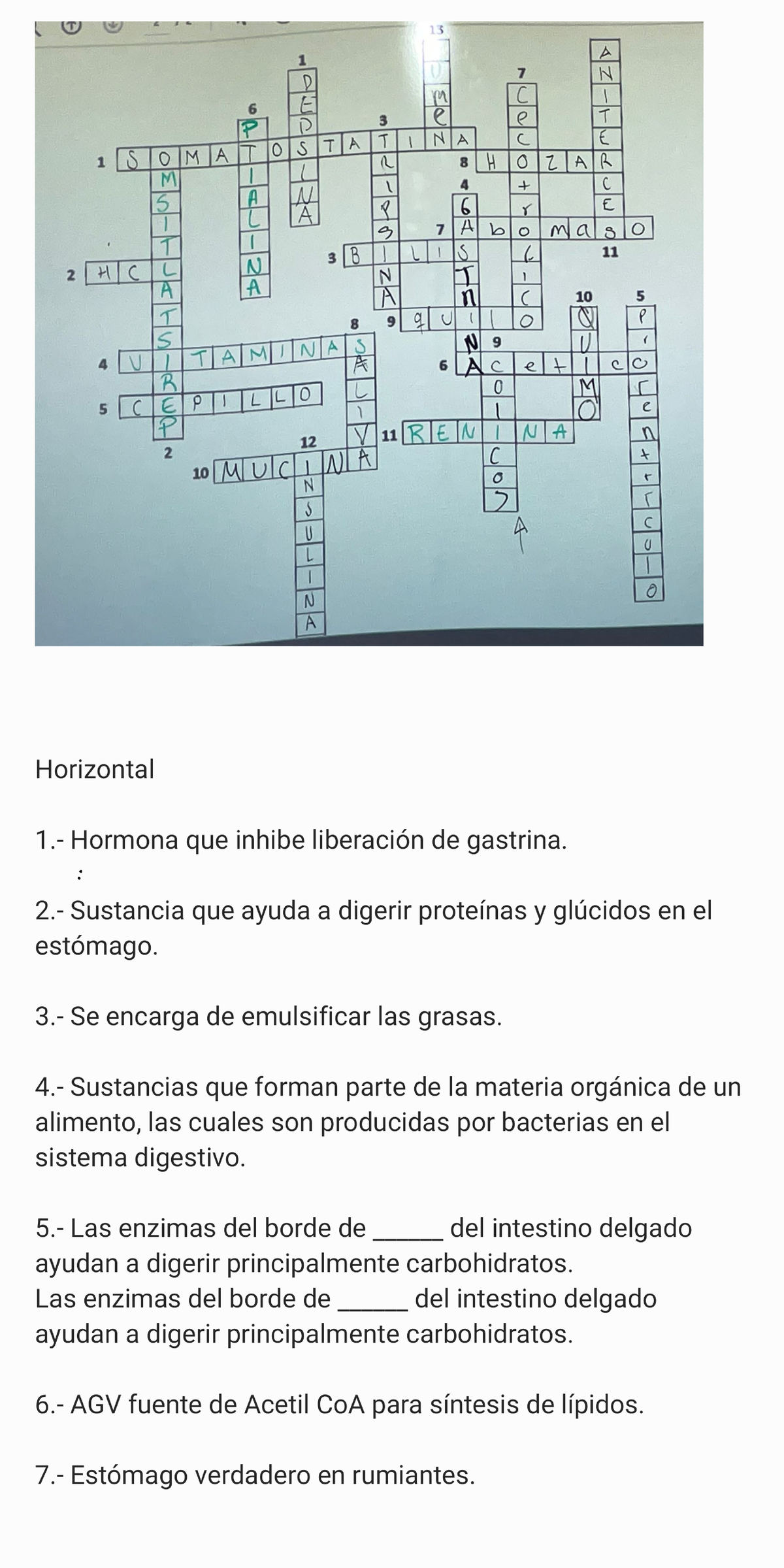 Crucigrama - Tarea - Bases de Datos Relacionales - Studocu Crucigrama - Tarea - Bases de Datos Relacionales - Studocu