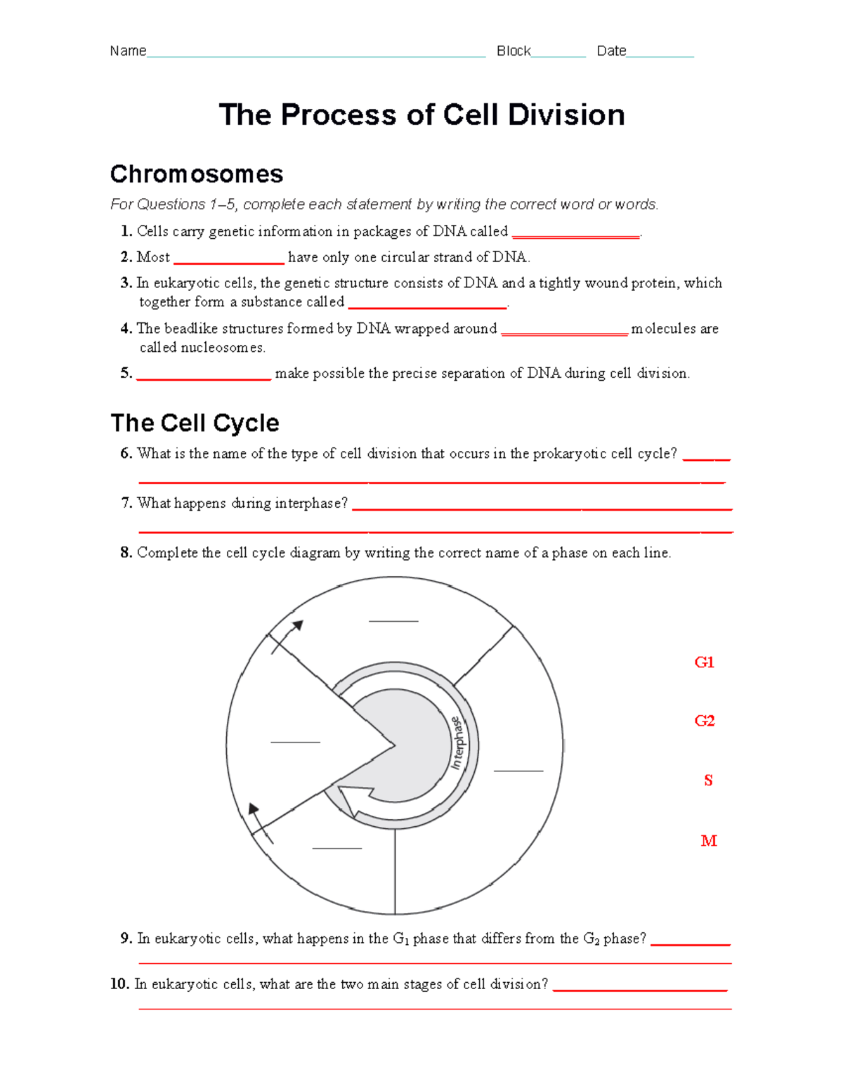 The Process of Cell Division - Name Block Date The Process of Cell ...