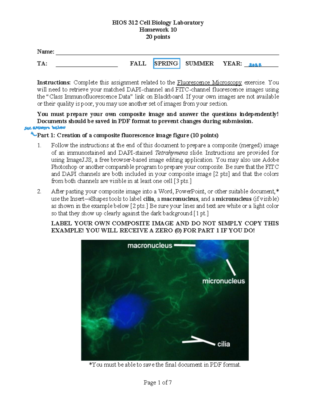 Homework 10 Cell Bio Lab - Homework 10 20 points Name: - Studocu