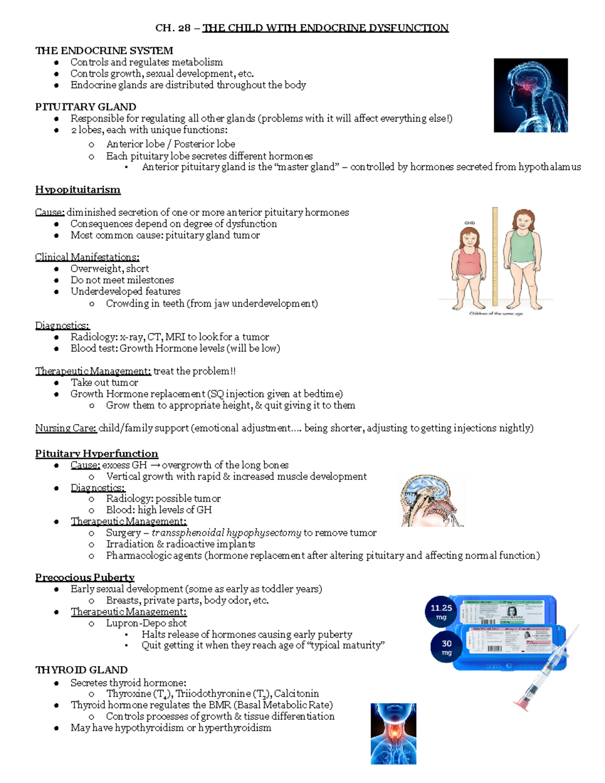 Endocrine - CH. 28 – THE CHILD WITH ENDOCRINE DYSFUNCTION THE ENDOCRINE ...
