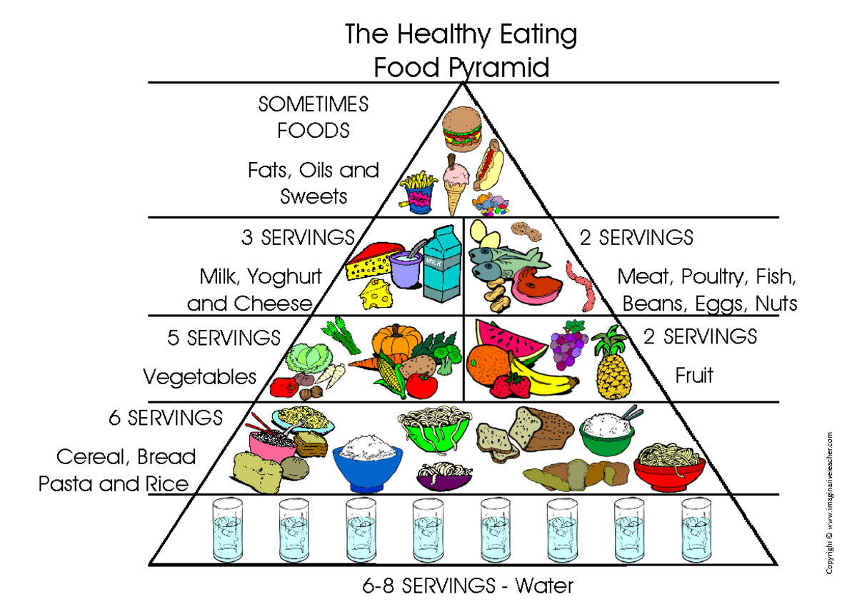 Freehealthy Eating Food Pyramid-1 - 6-8 SERVINGS - Water The Healthy ...