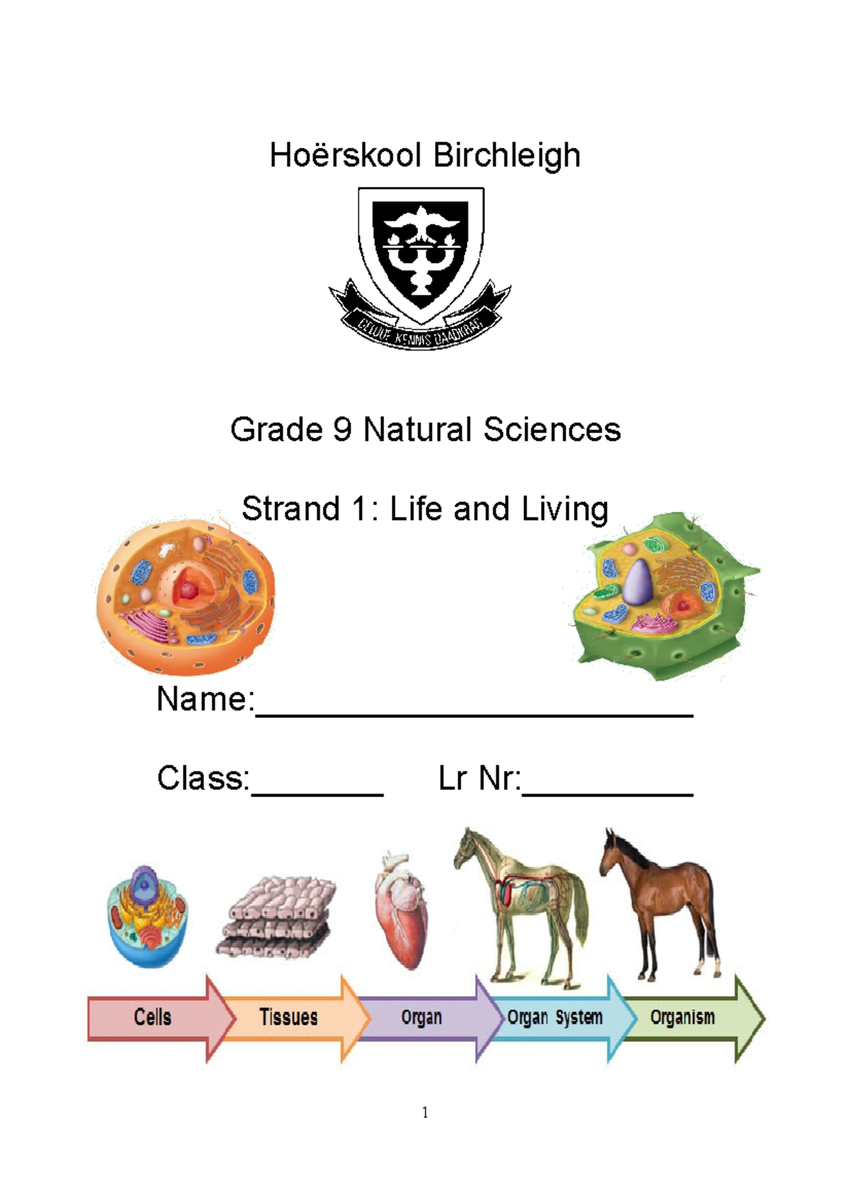 GR. 9 NS Strand 1 2021 Notes - Hoërskool Birchleigh Grade 9 Natural ...