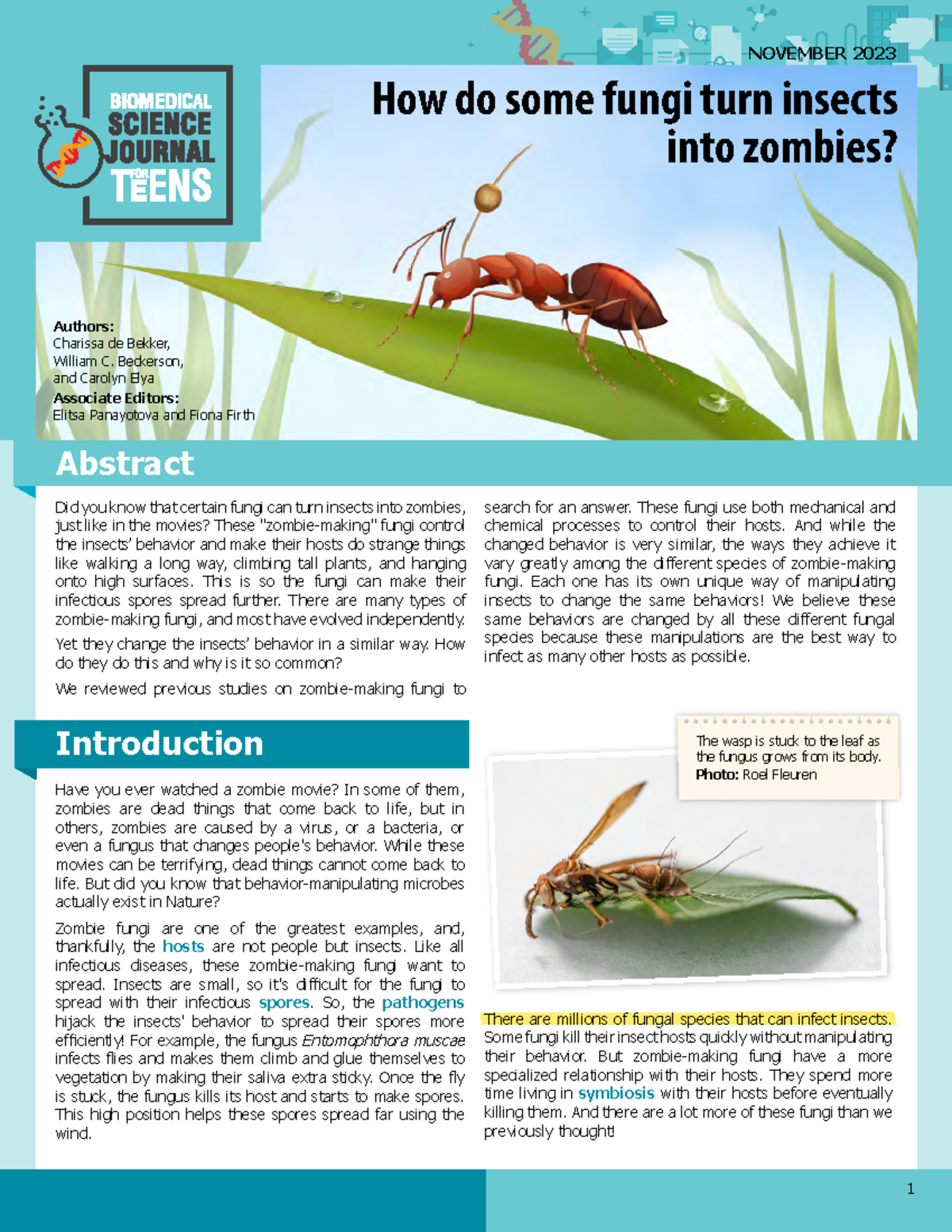 Zombie article - ####### DECEMBER 2017 Authors: Susan Crow, Meghan ...