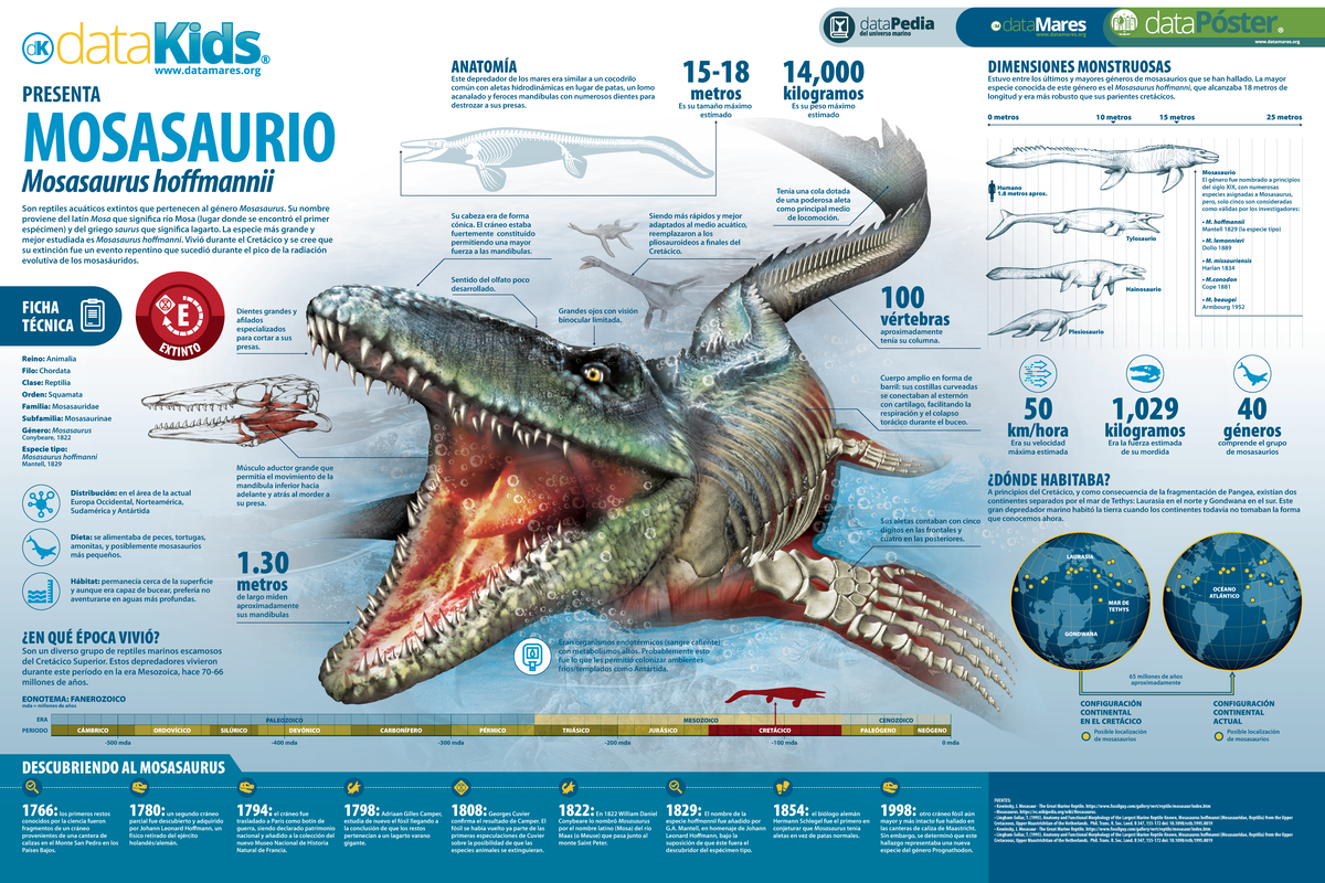 Mosasaurio - PRESENTA DESCUBRIENDO AL MOSASAURUS ANATOMÍA ####### Este ...