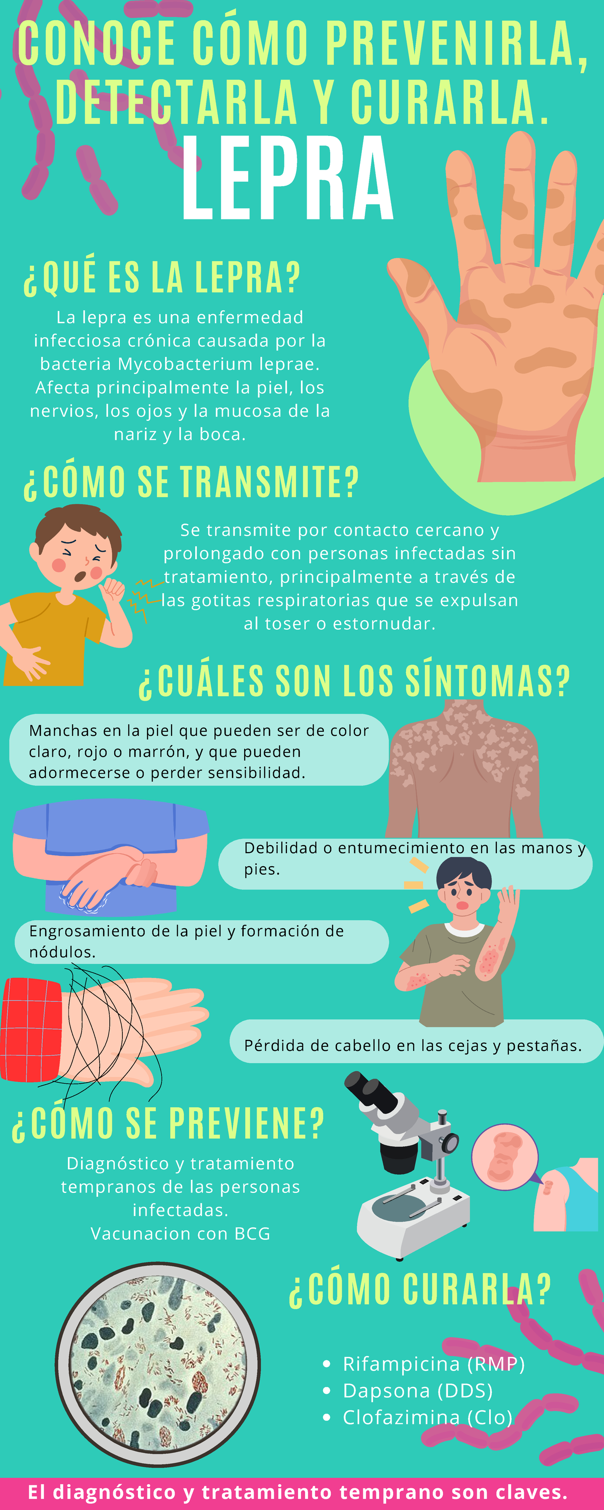 Infografia Lepra - ¿CÓMO CURARLA? Rifampicina (RMP) Dapsona (DDS) Clofazimina (Clo) Pérdida de ...