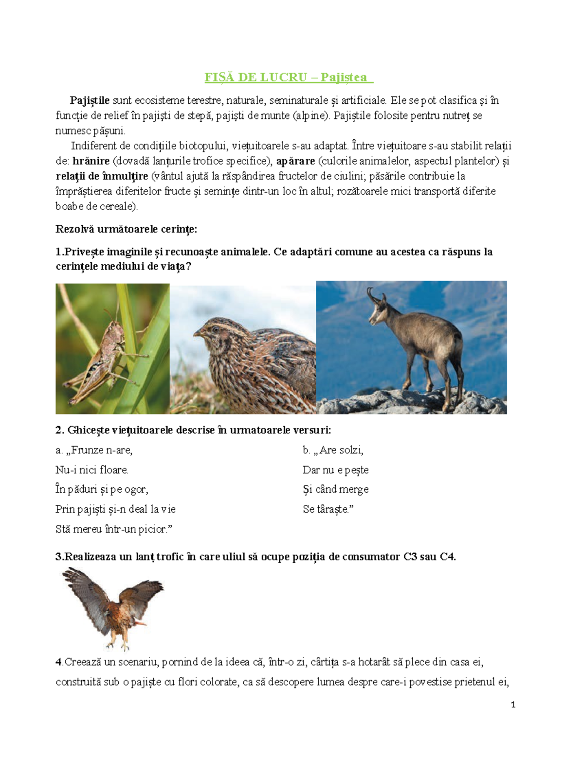 Pajistea fisa de lucru - FI Ă DE LUCRU – Paji teaȘ ș Paji tileș sunt ...