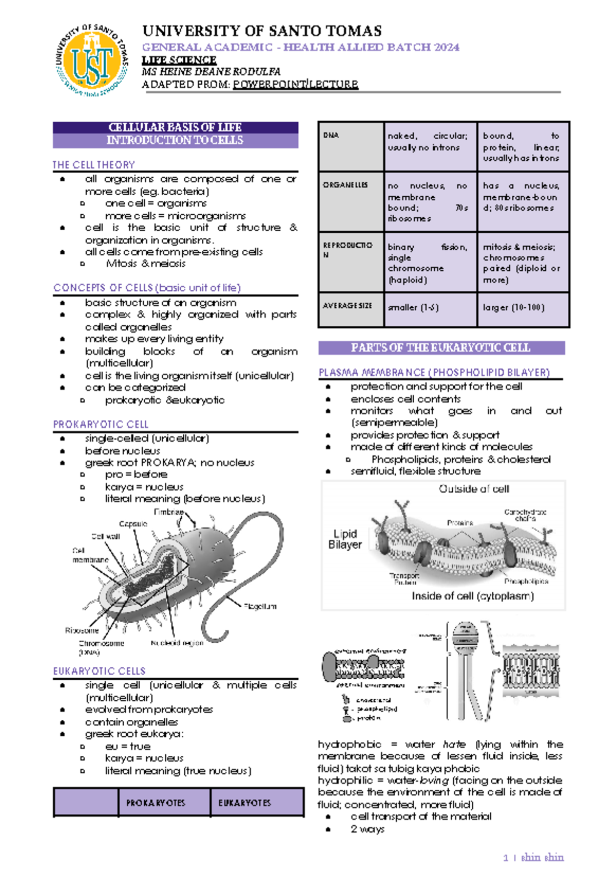 SHS ELS - 2ND Quarter - ELS CUTIE - GENERAL ACADEMIC - HEALTH ALLIED ...
